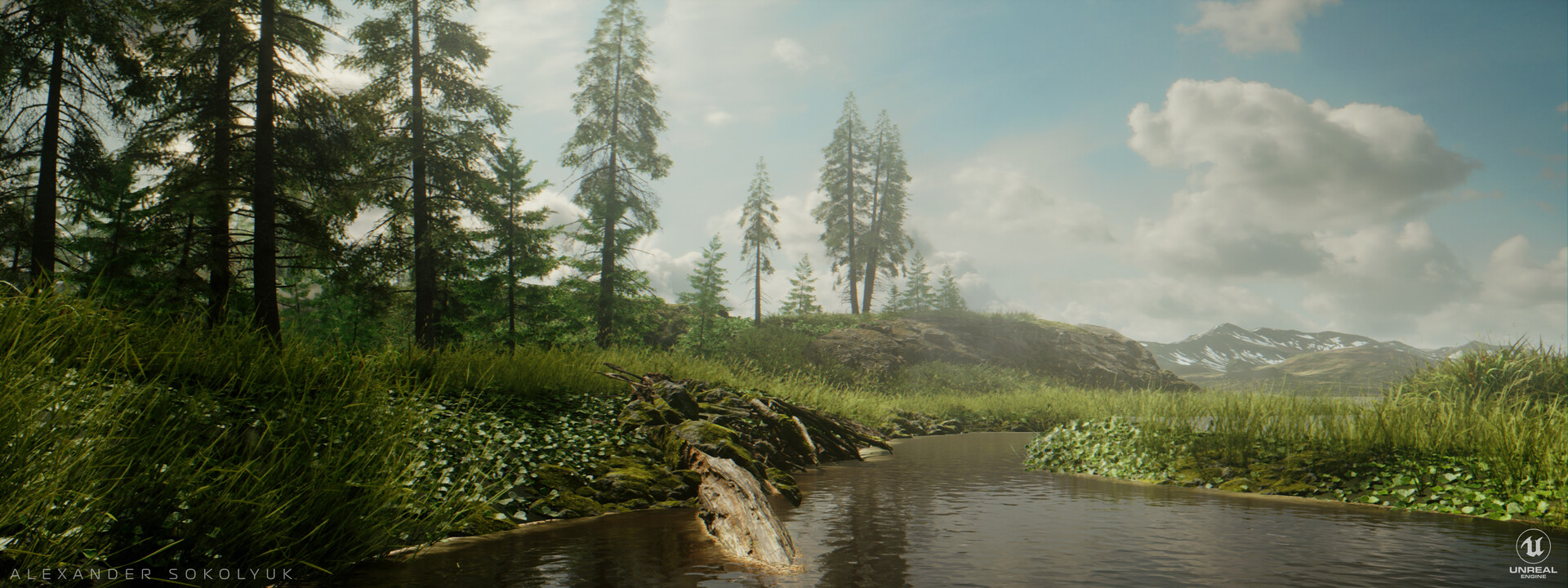 Alexander Sokolyuk - FOREST BIOME in UNREAL ENGINE 5 | Realistic Real ...