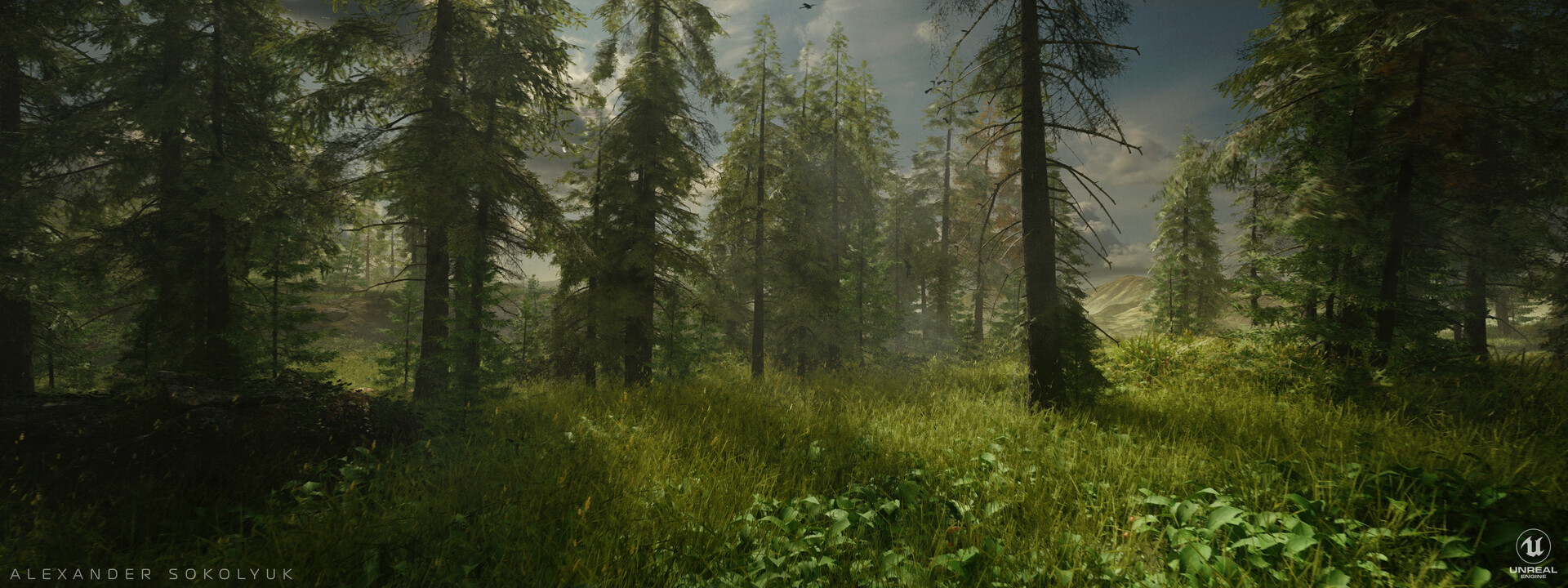 Alexander Sokolyuk - FOREST BIOME in UNREAL ENGINE 5 | Realistic Real-time forest [UE5]