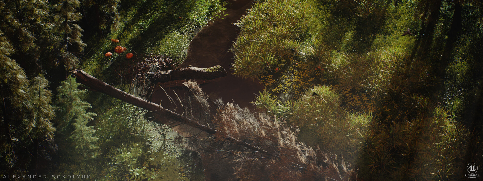 Alexander Sokolyuk - FOREST BIOME in UNREAL ENGINE 5 | Realistic Real-time forest [UE5]