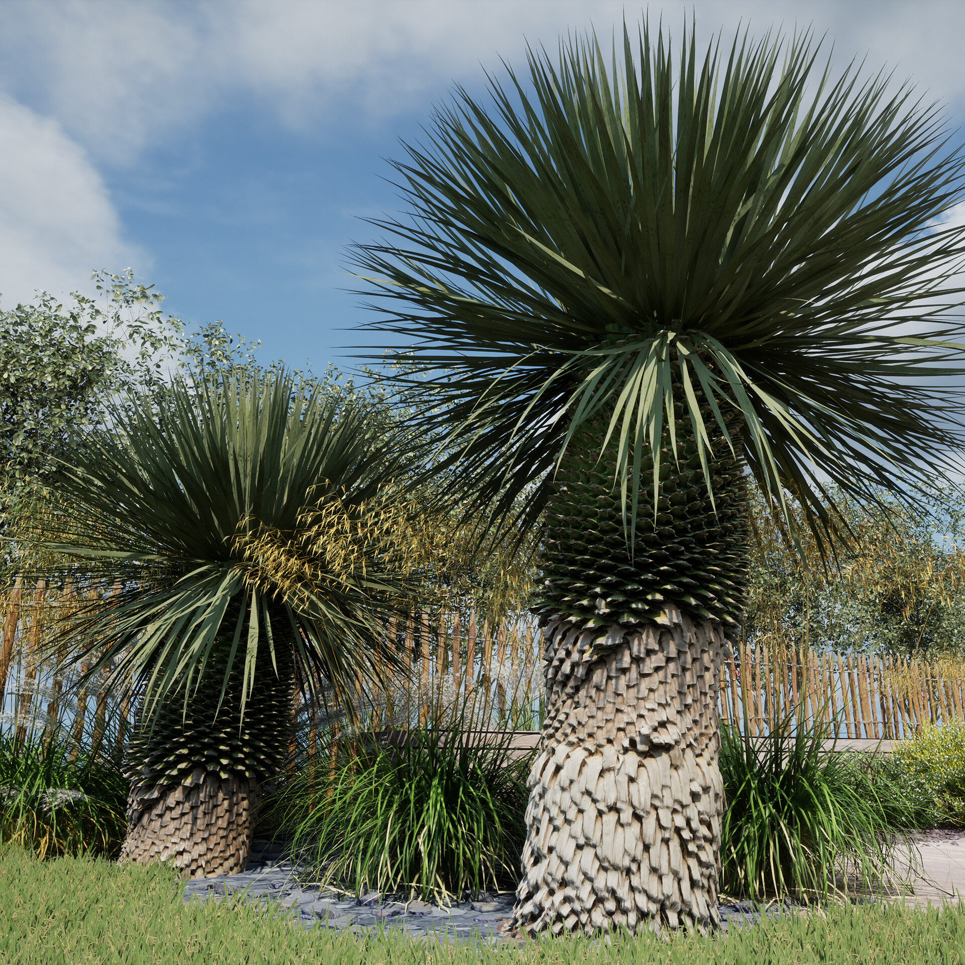 ArtStation - Yucca Rostrata