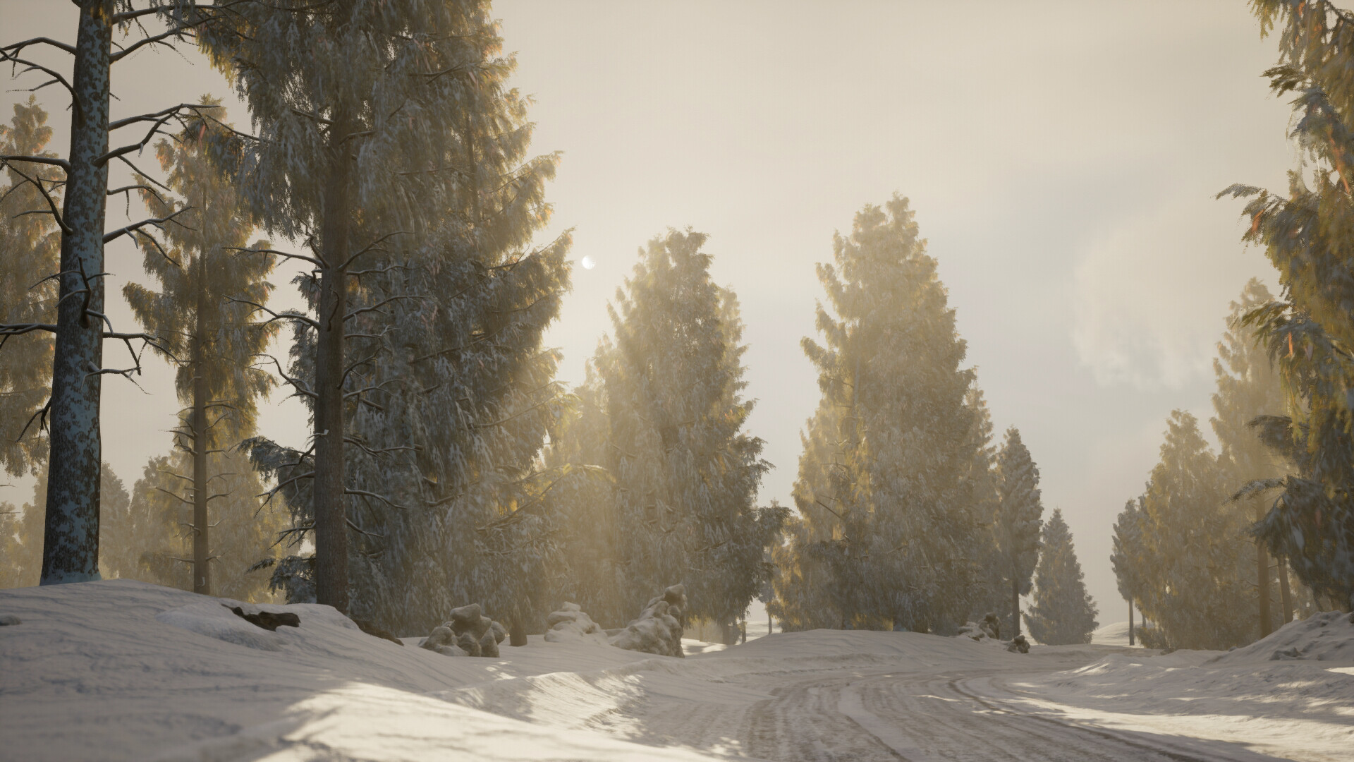 ArtStation - Winter Forrest
