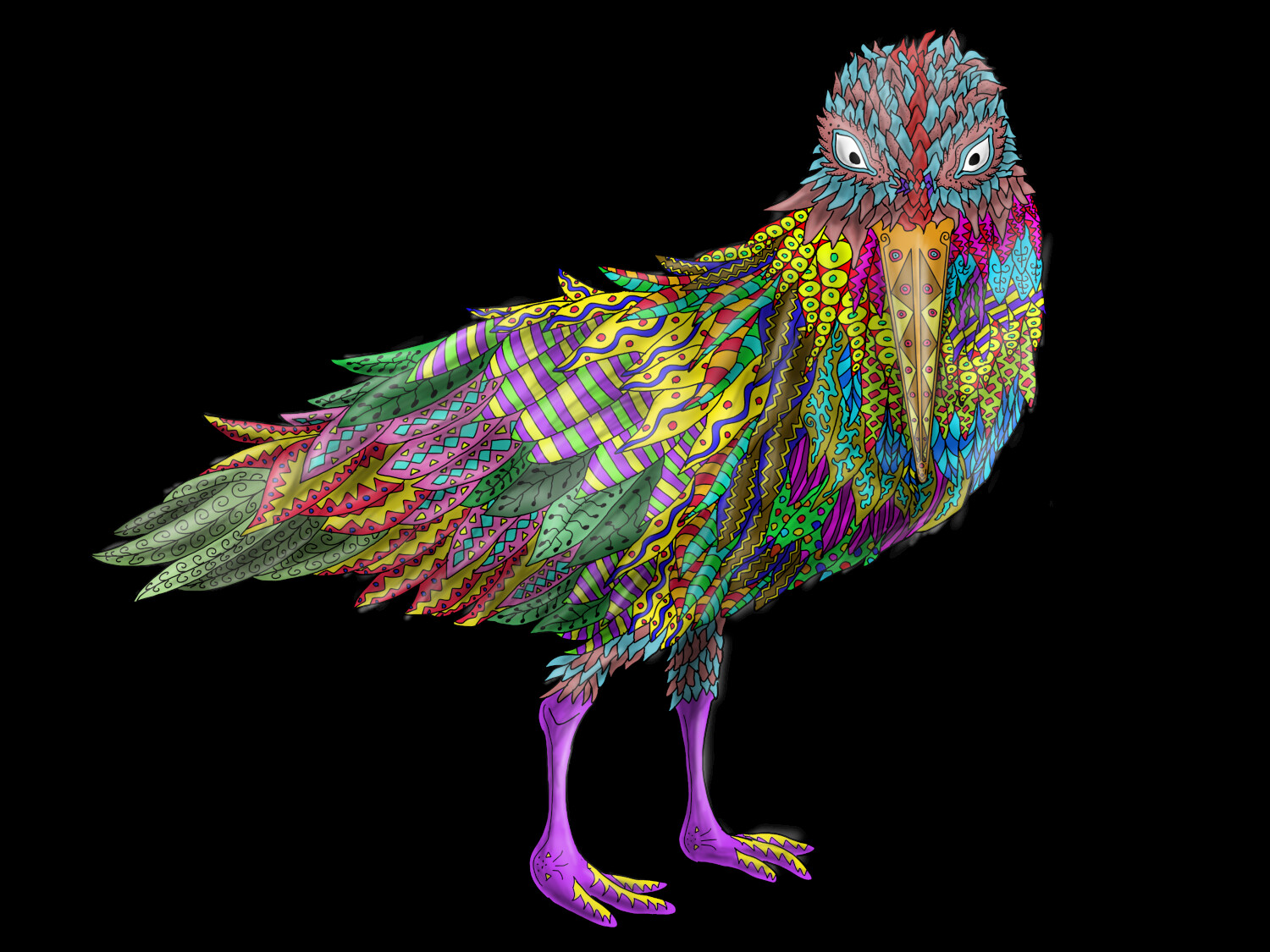 ArtStation - Ornate Oystercatcher