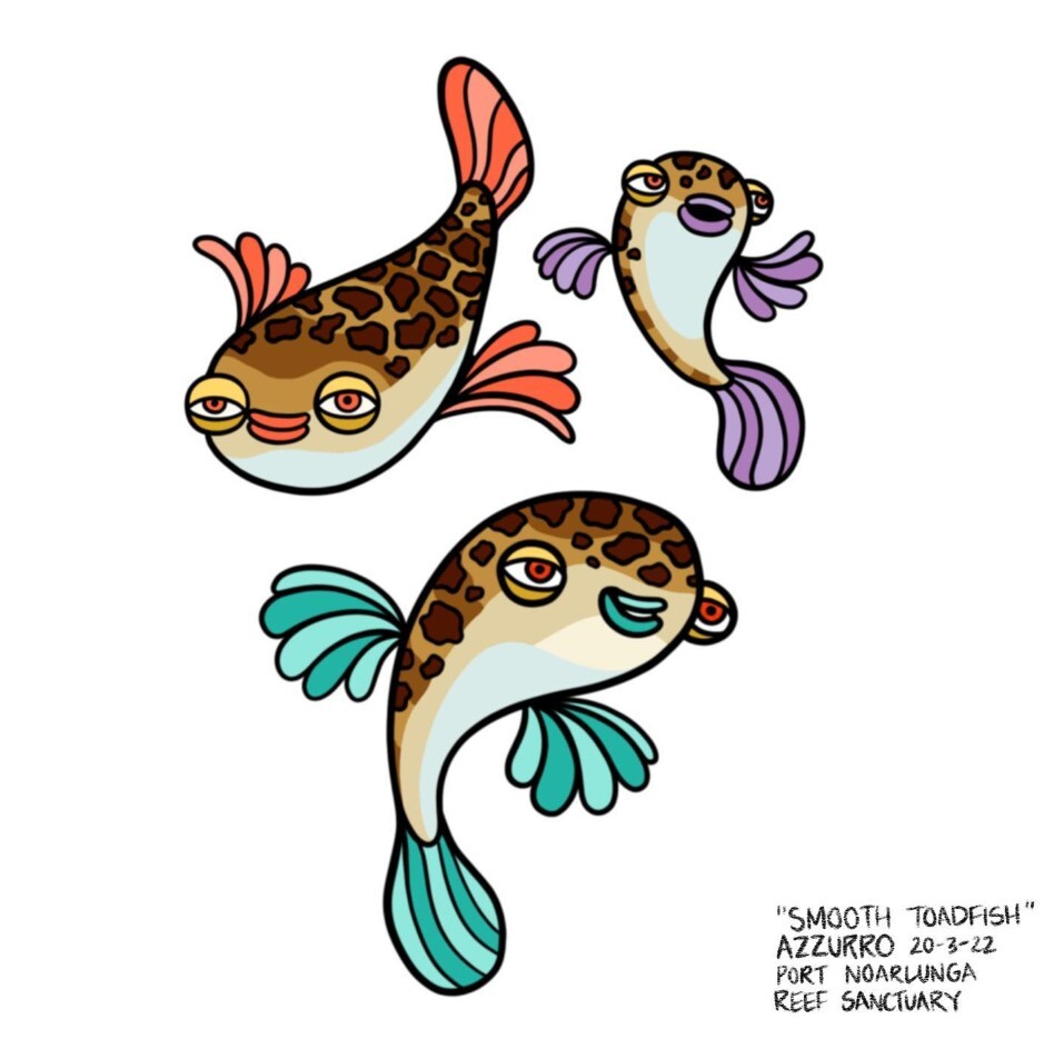 ArtStation - Reef - Smooth Toadfish