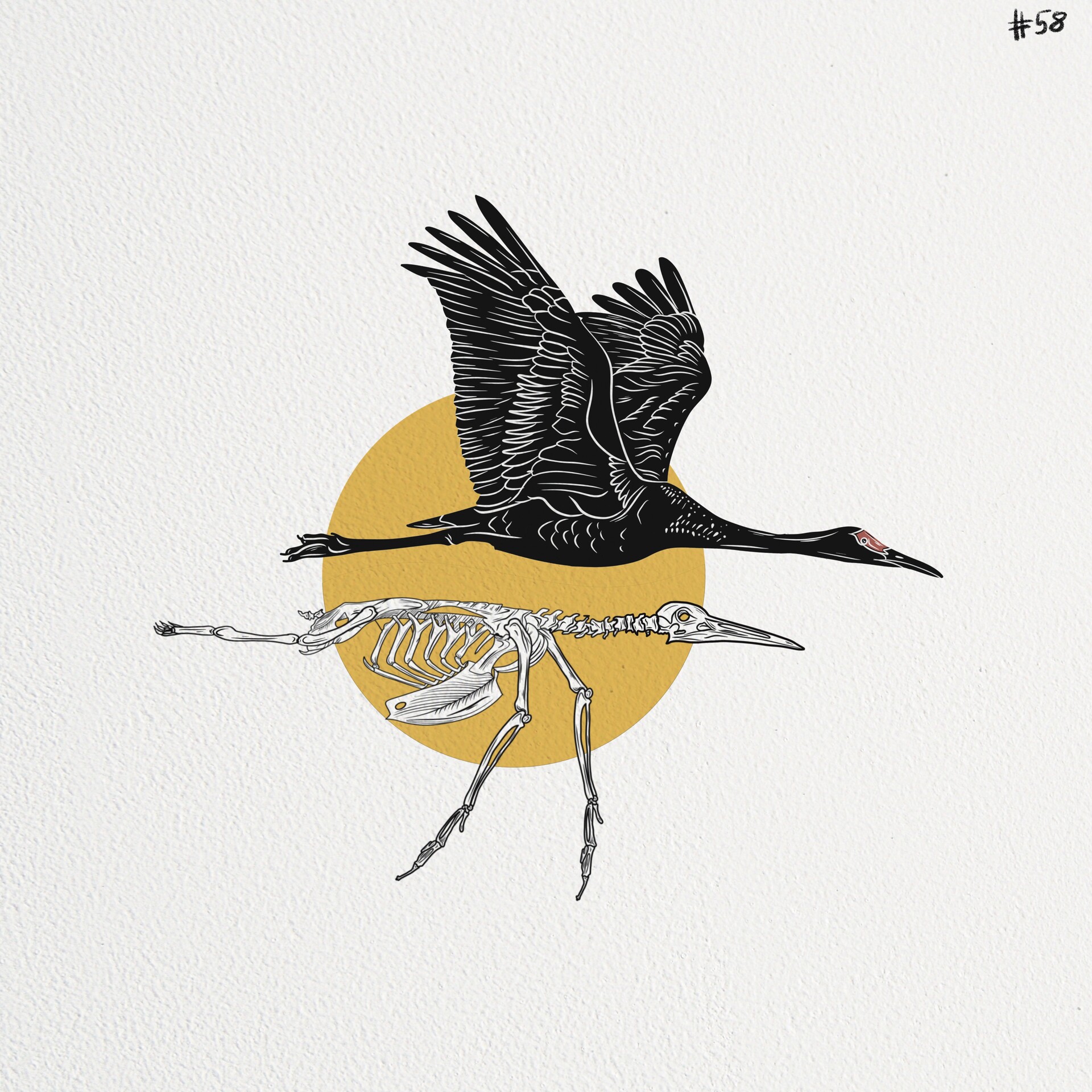 ArtStation - 58 - Sandhill Crane, concept art