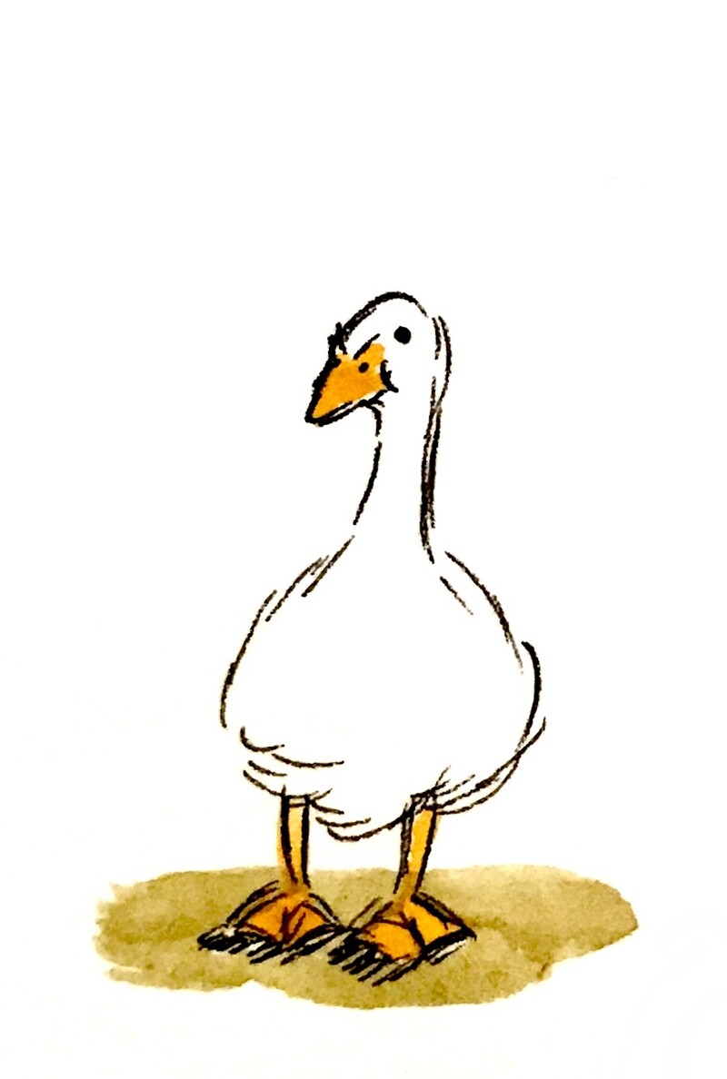 ArtStation - Destiny Lawson