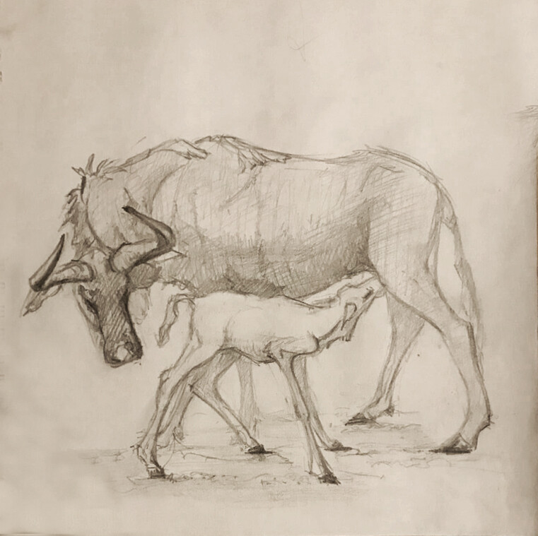 ArtStation - zoological museum