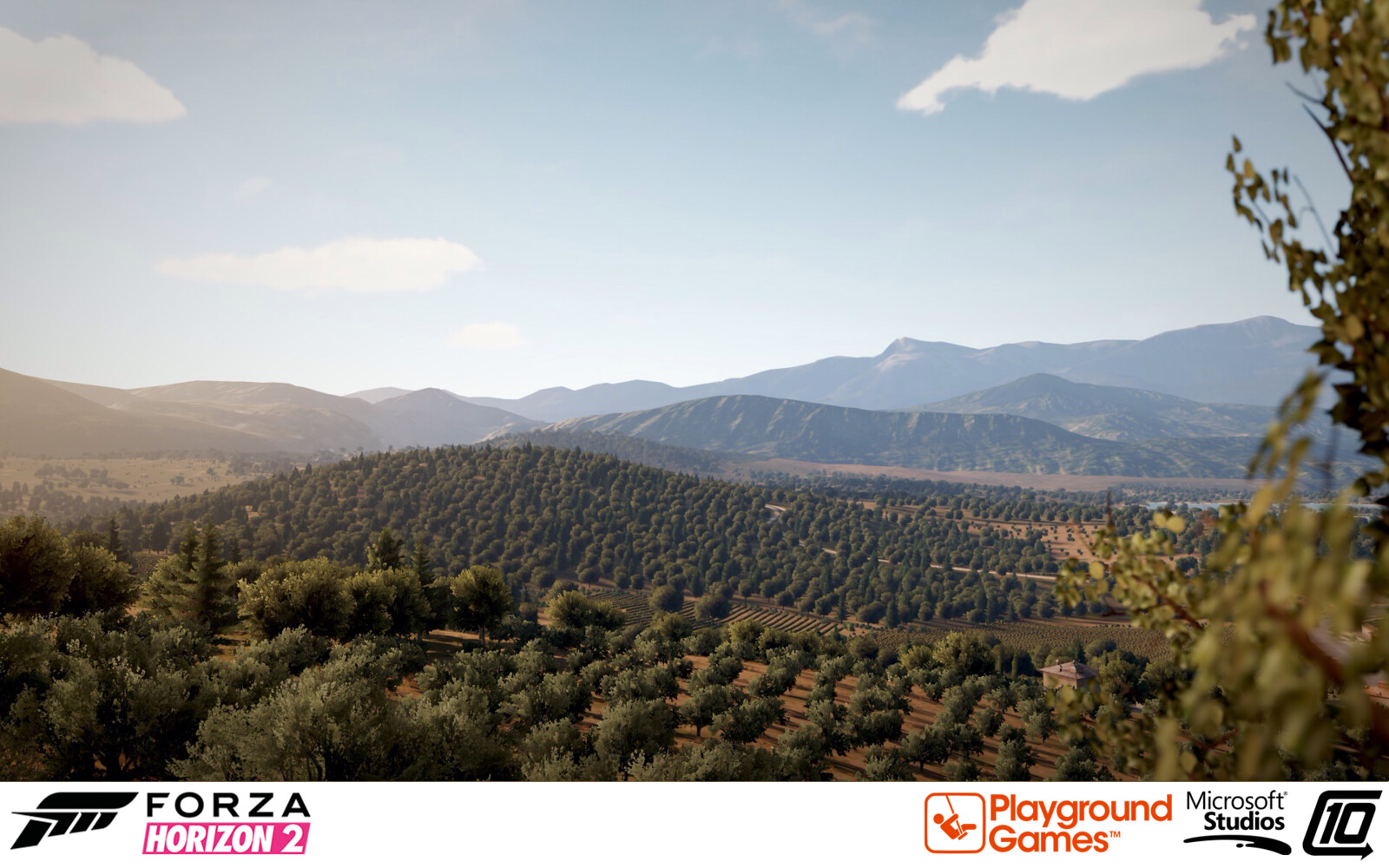 Nicolas Millot - Forza Horizon 2