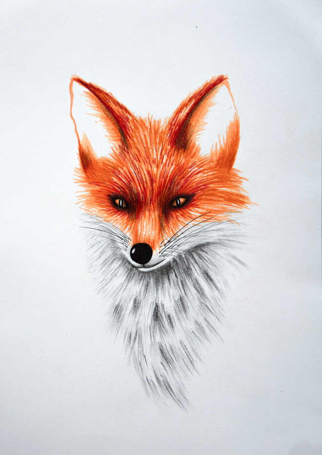 ArtStation - Fox