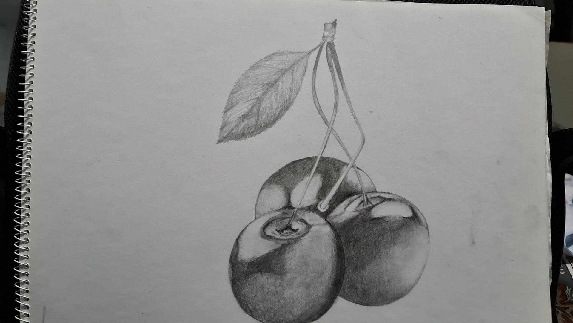 Nada Insyirah - Cherry Observational Drawing