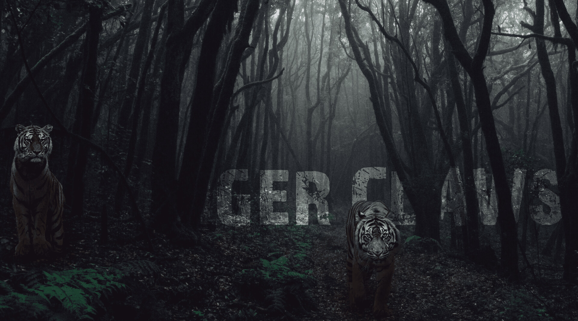 ArtStation - Tiger Claws as