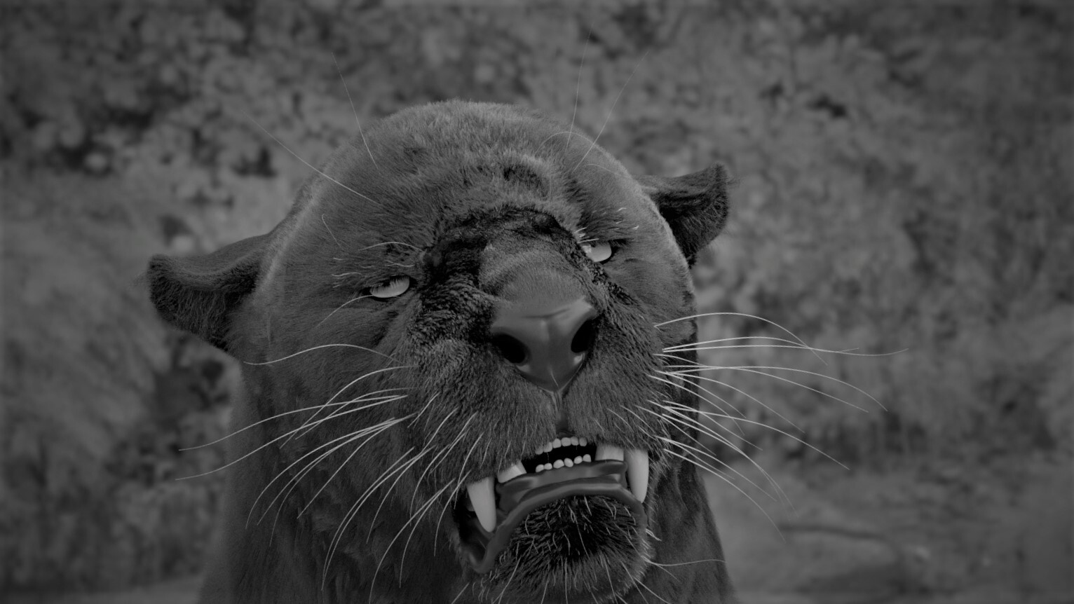 Sandeep Grover - My Love towards Animals