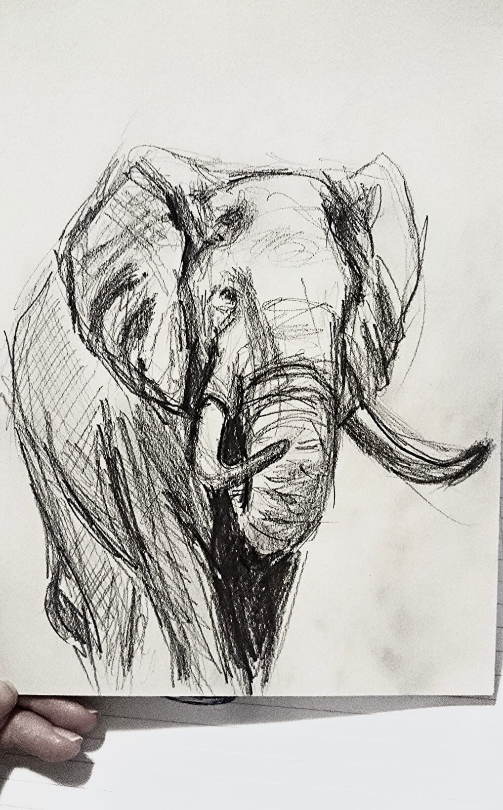 ArtStation - Elephant