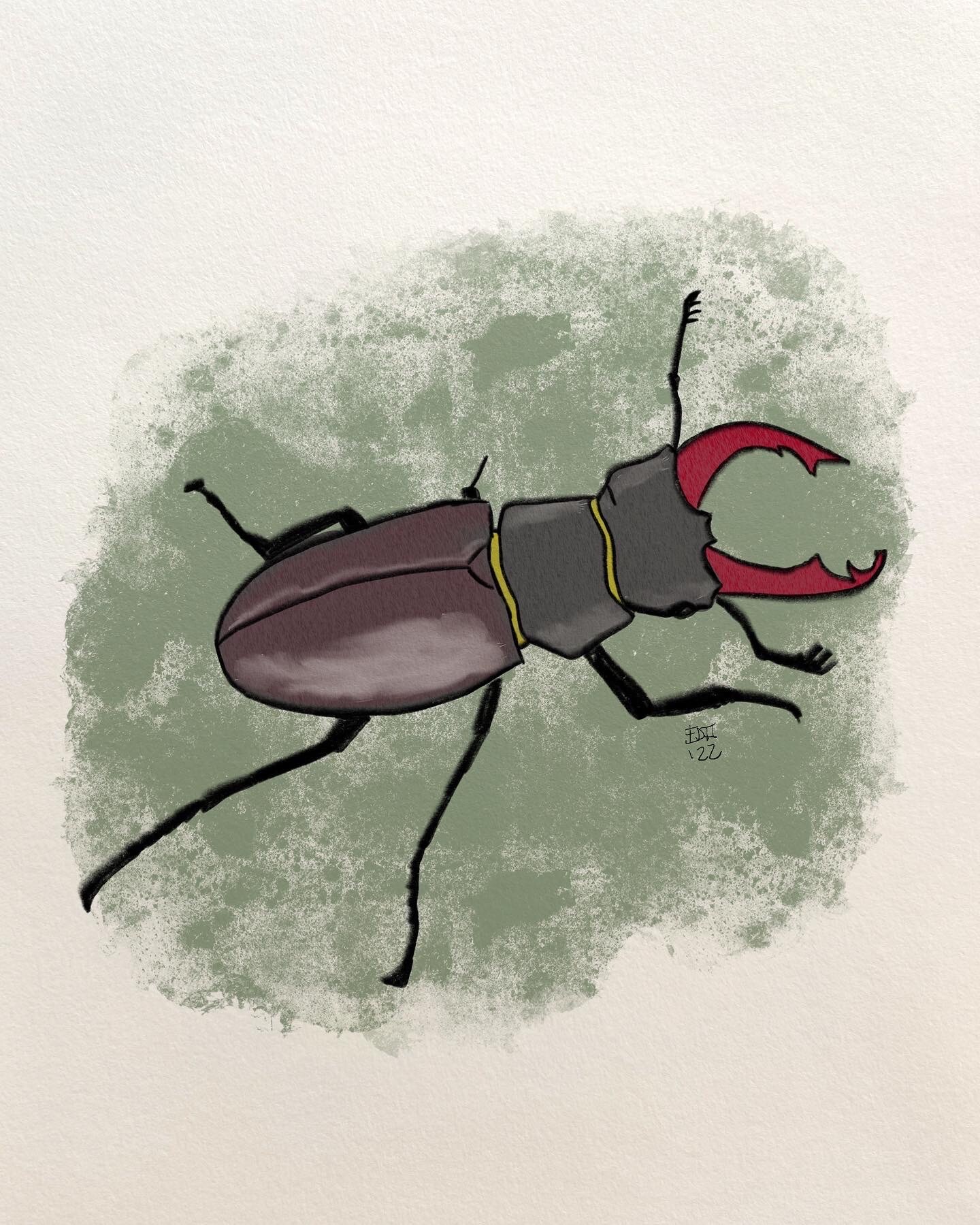 ArtStation - Junebug Day 5: Stag Beetle