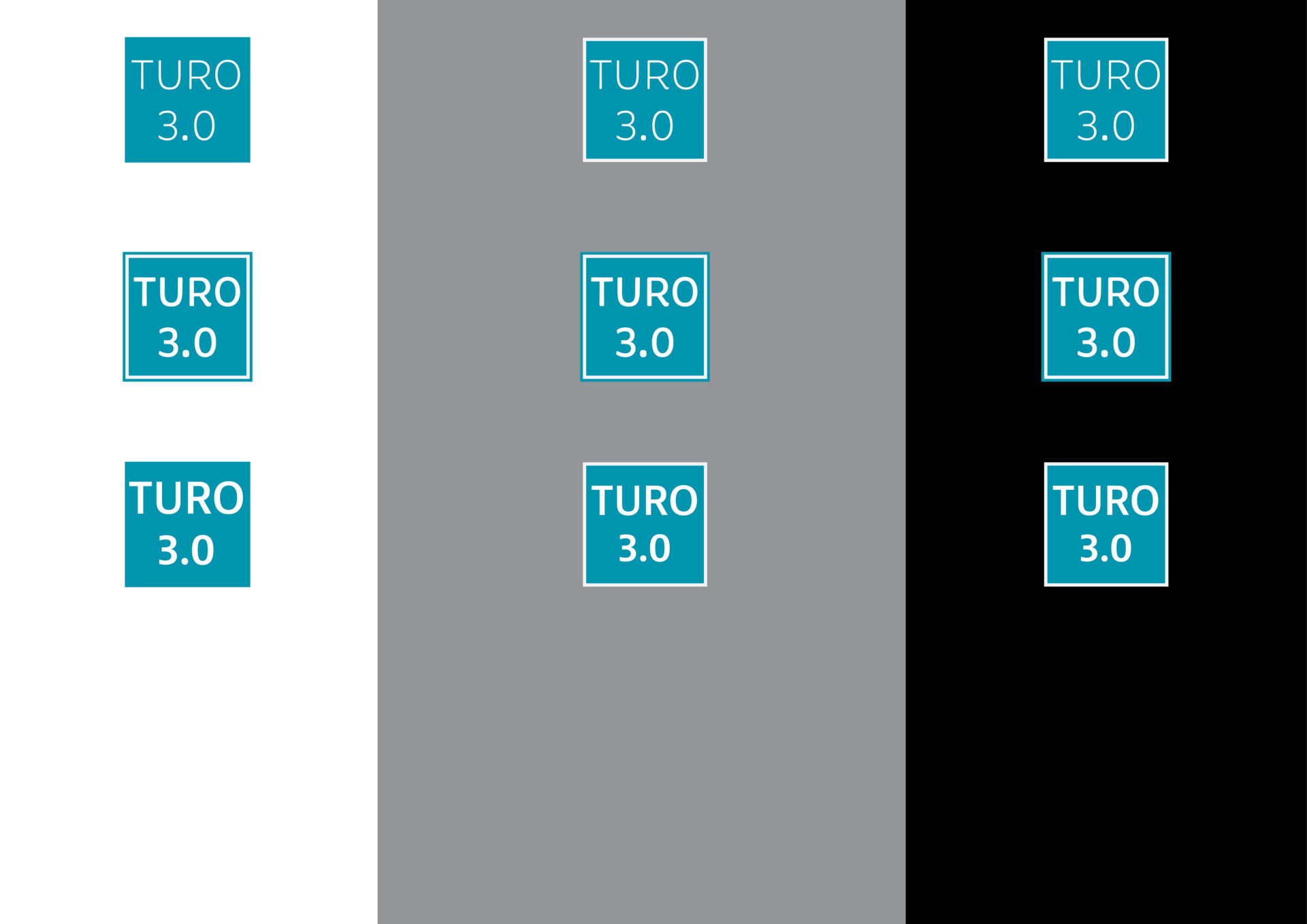 Daniil Popov - Turo Logo.