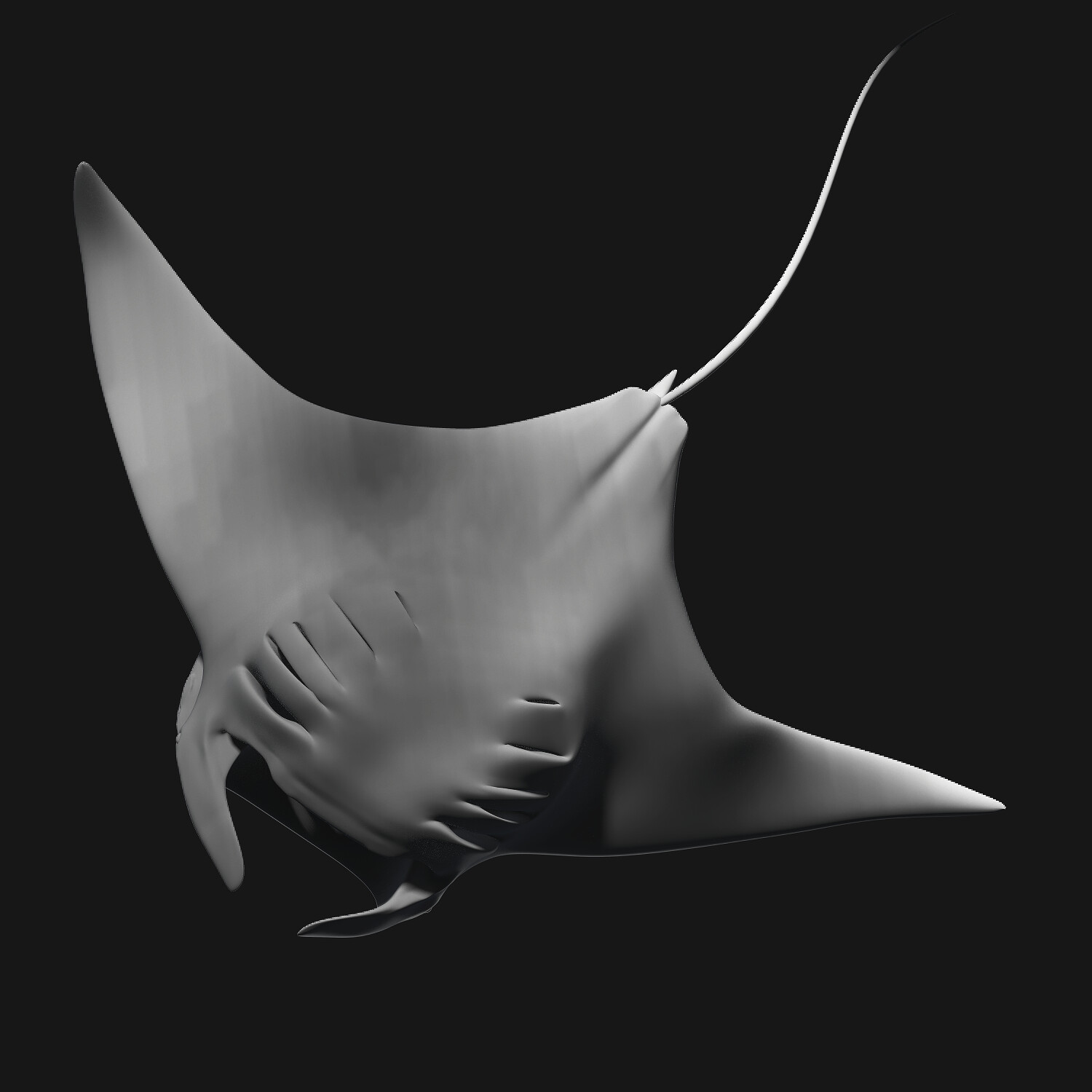 Graeme Howard - Dailies 1