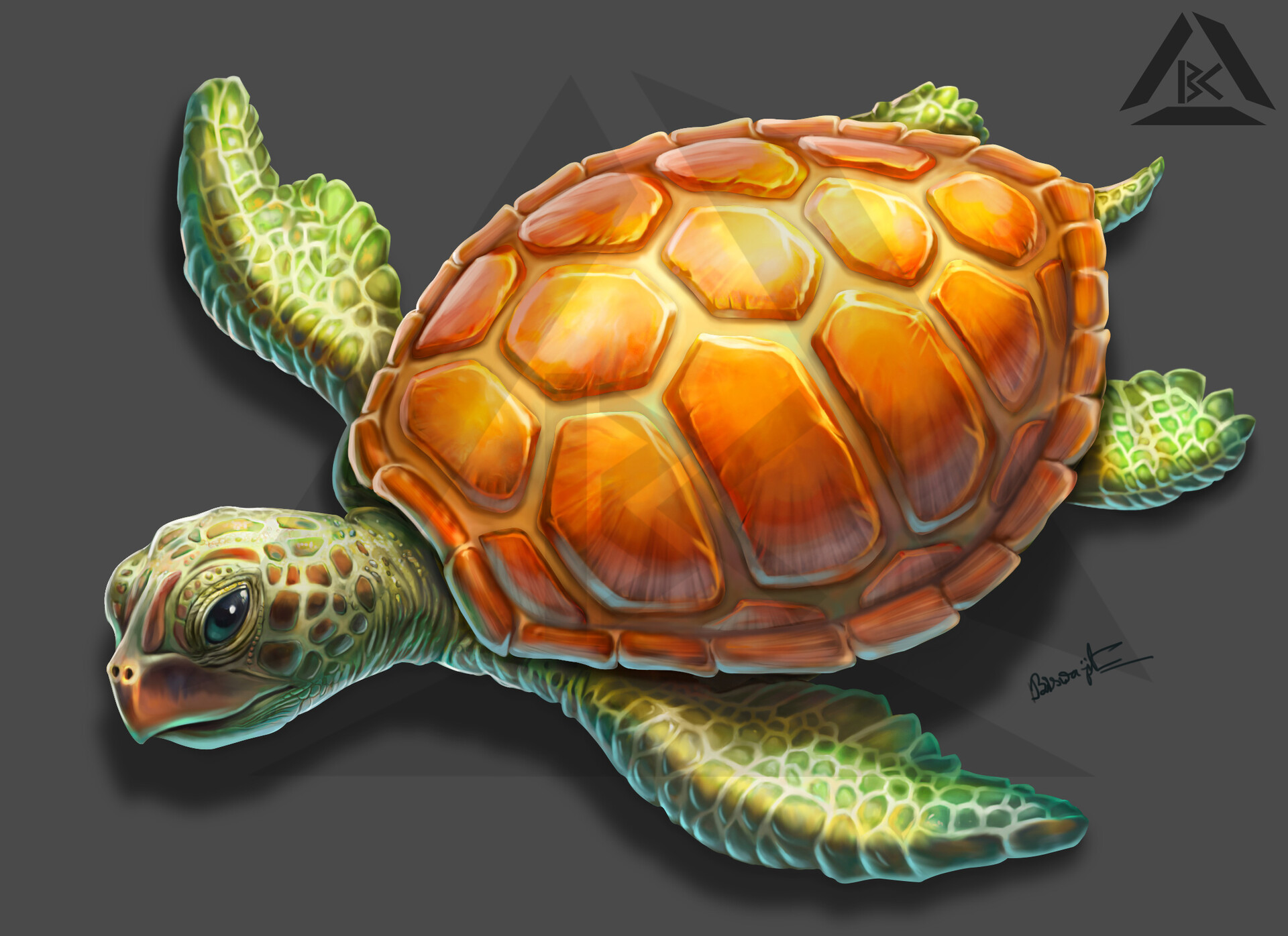 ArtStation - Turtle