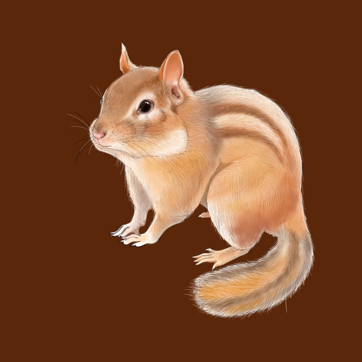 ArtStation - Chipmunk