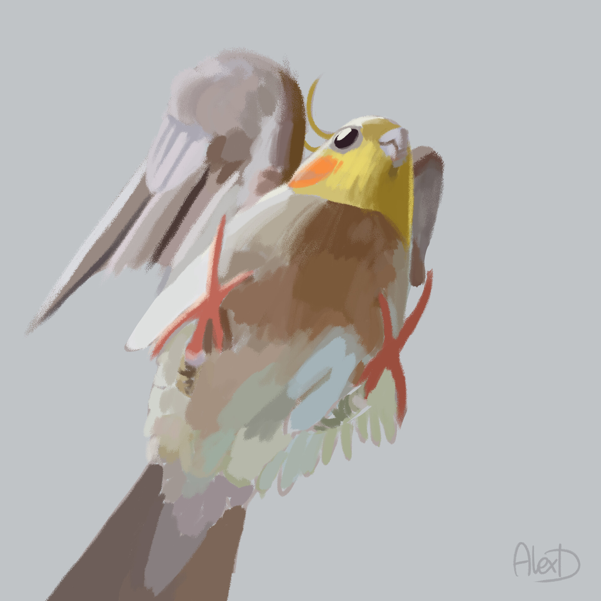 AlexD - Animal Practise