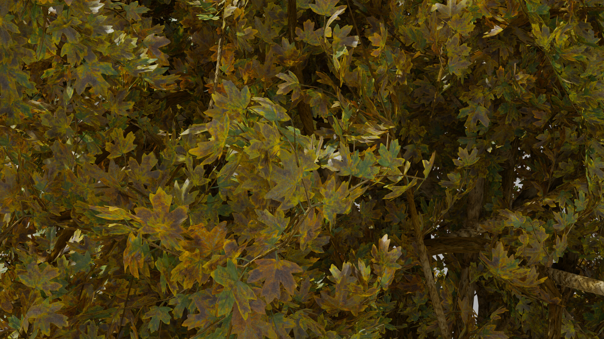 ArtStation - Maple tree