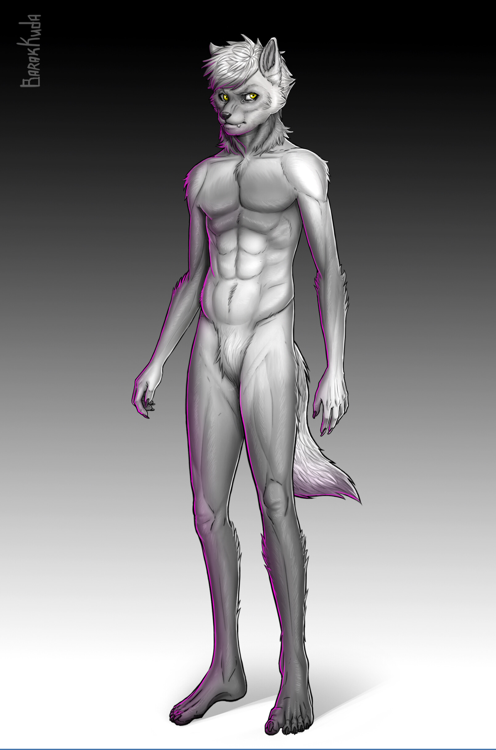 anthro wolf boy