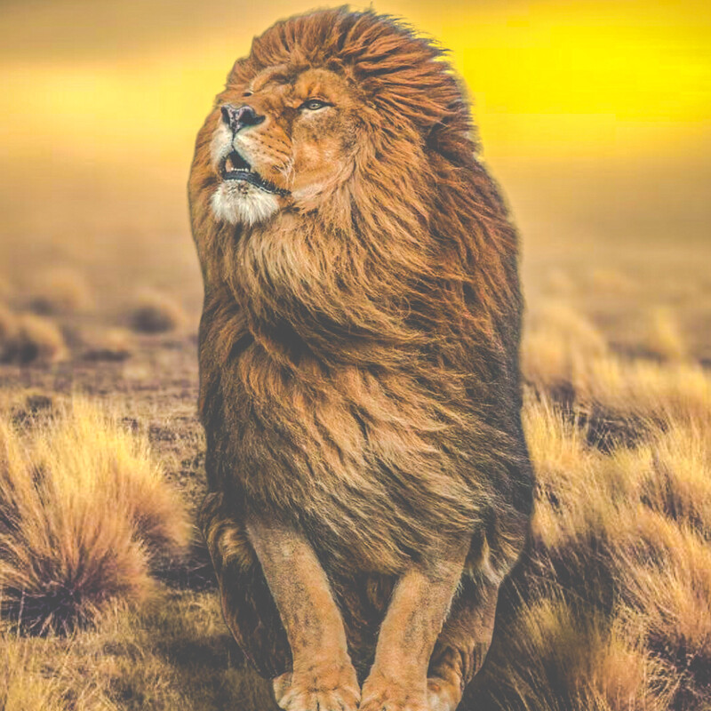 ArtStation - Amjath Ronaldo