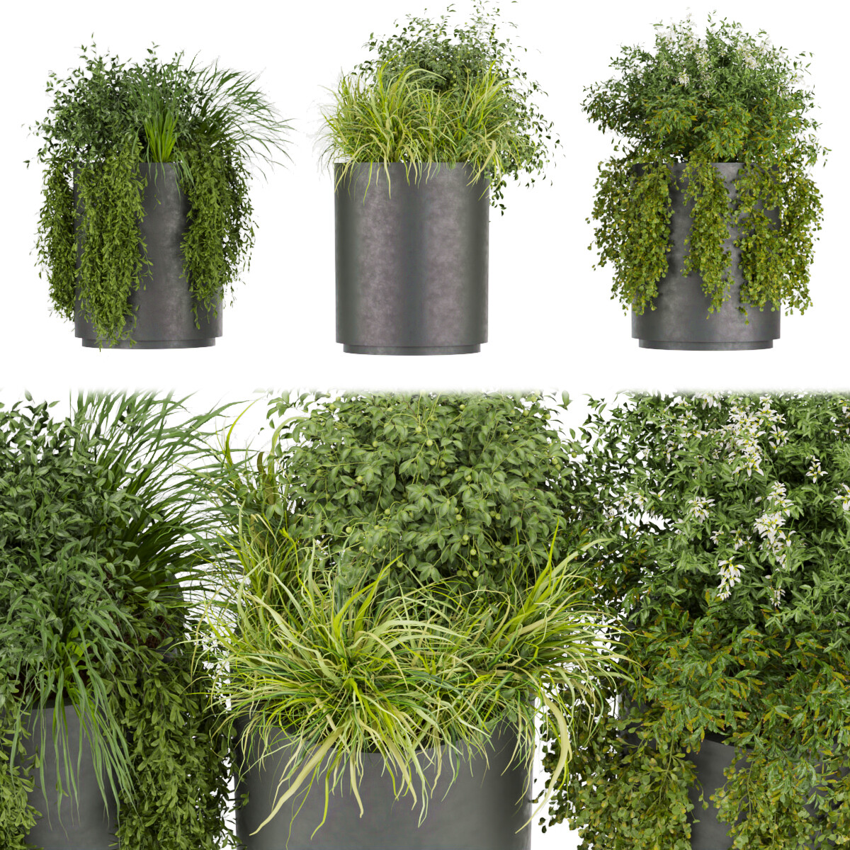 ArtStation - Collection plant vol 232 - leaf - grass - blender - 3dmax ...