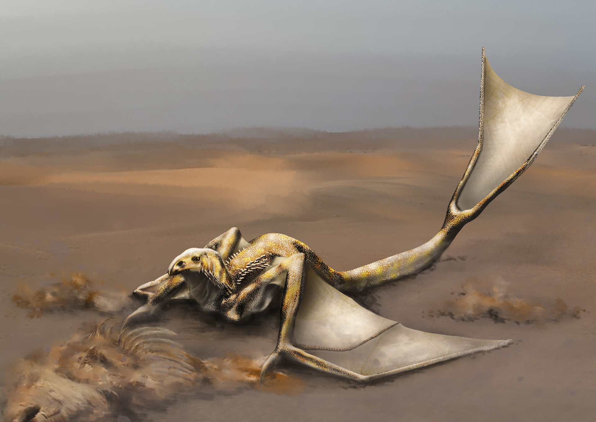 ArtStation - Urusai - Creature Design