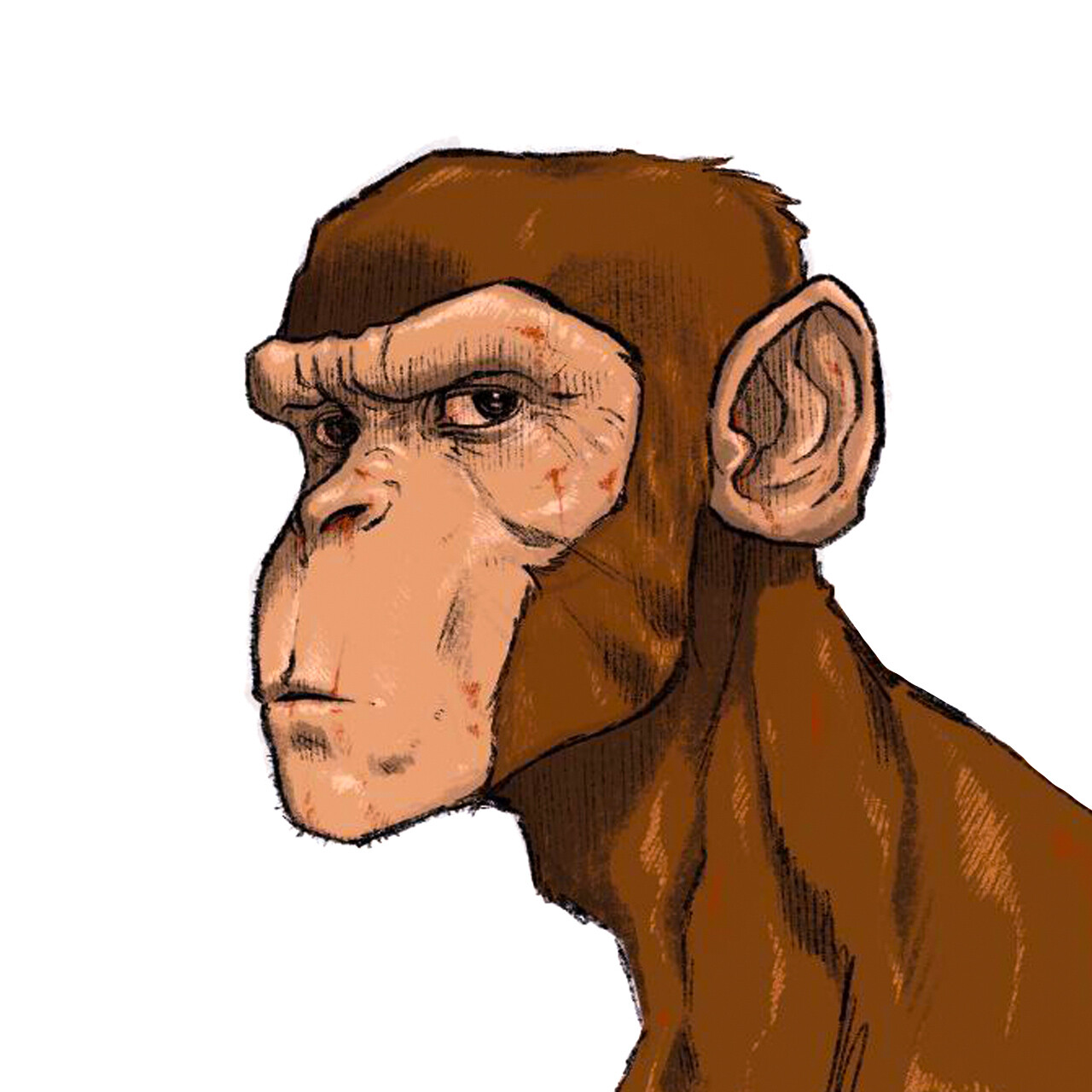 ArtStation - NFT Ape