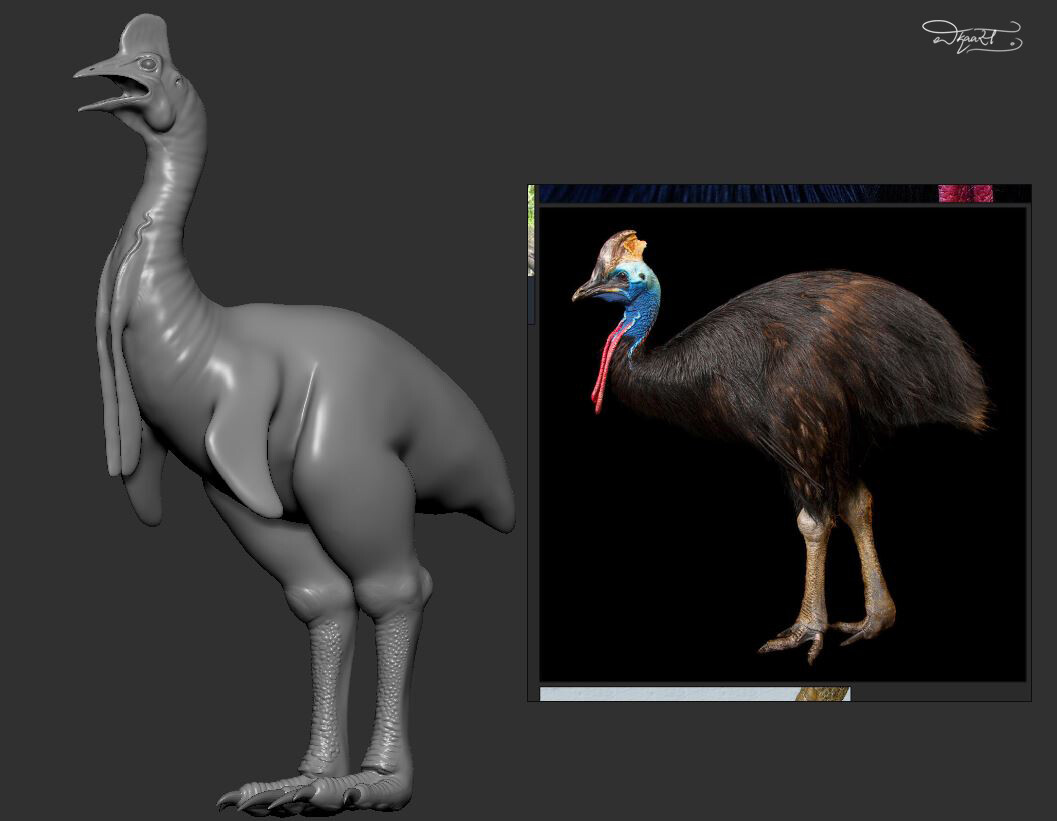 Cassowary Far Cry 3