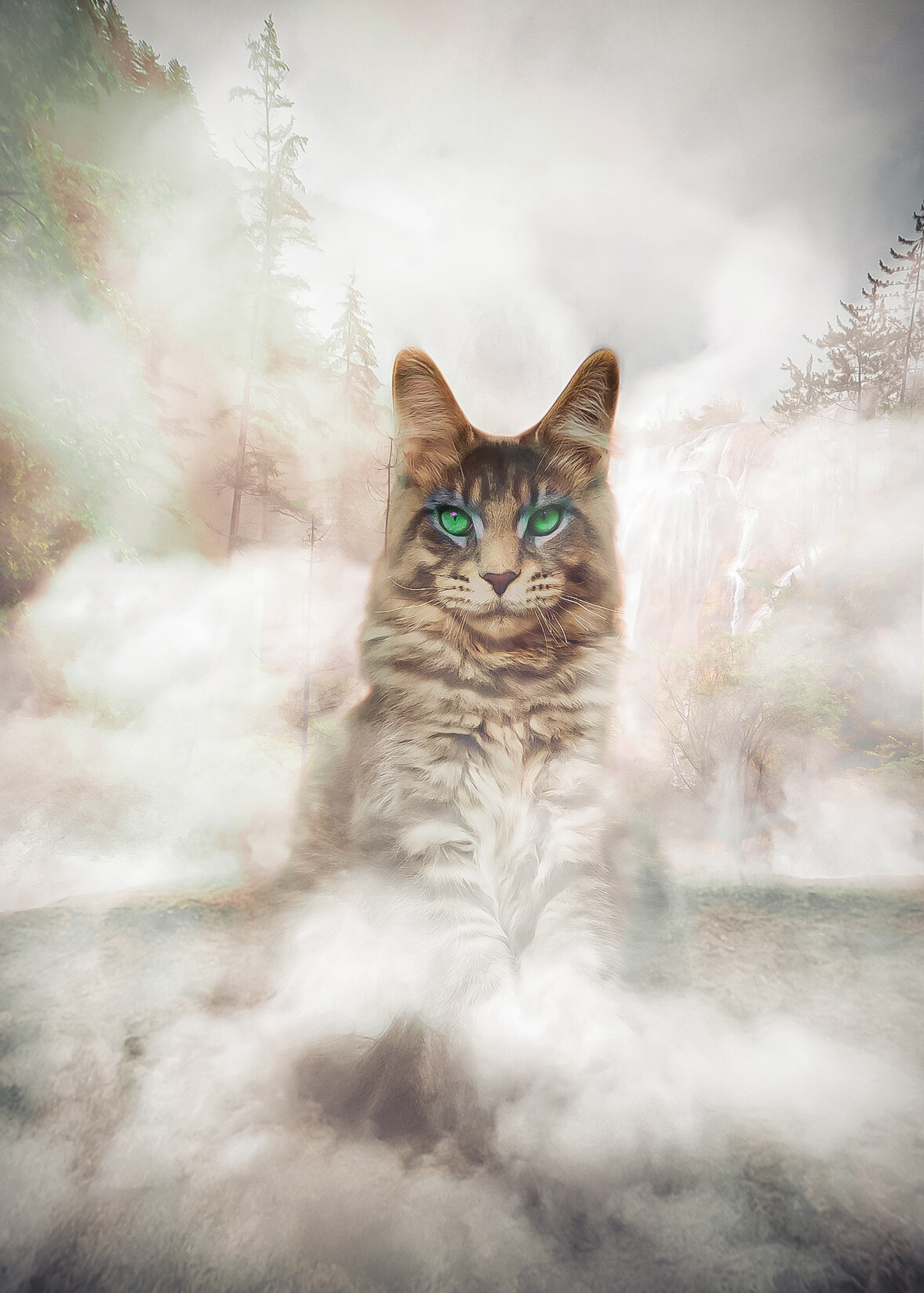 ArtStation - Forest Invader Cat