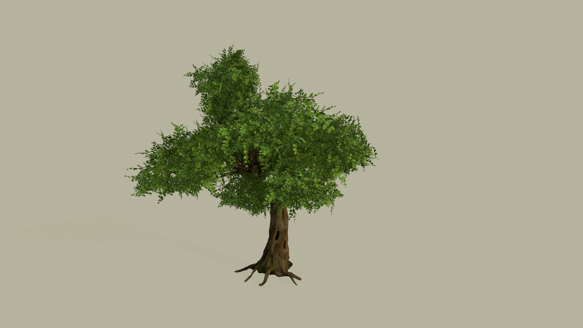 ArtStation - Big Tree