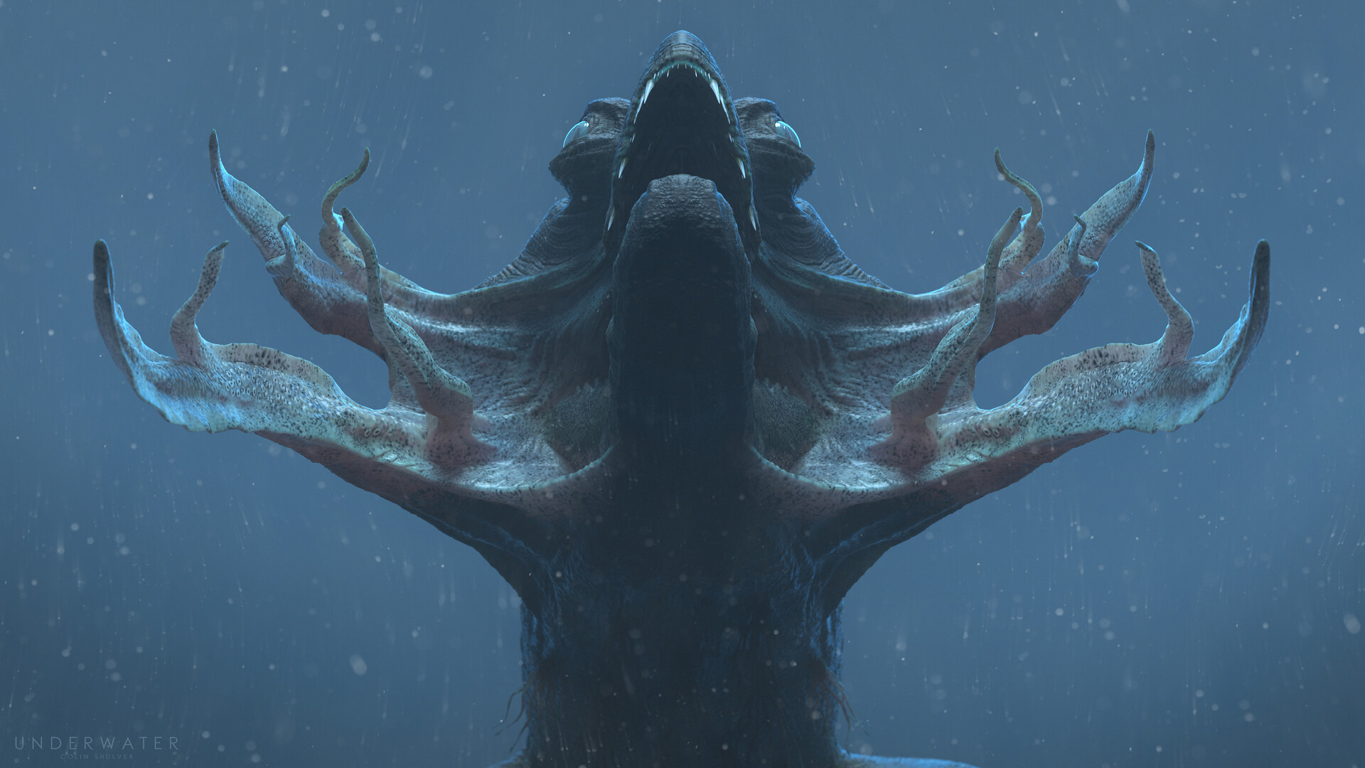 COLIN SHULVER - UNDERWATER