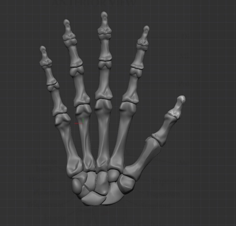 ArtStation - Hand Anatomy Sculpt