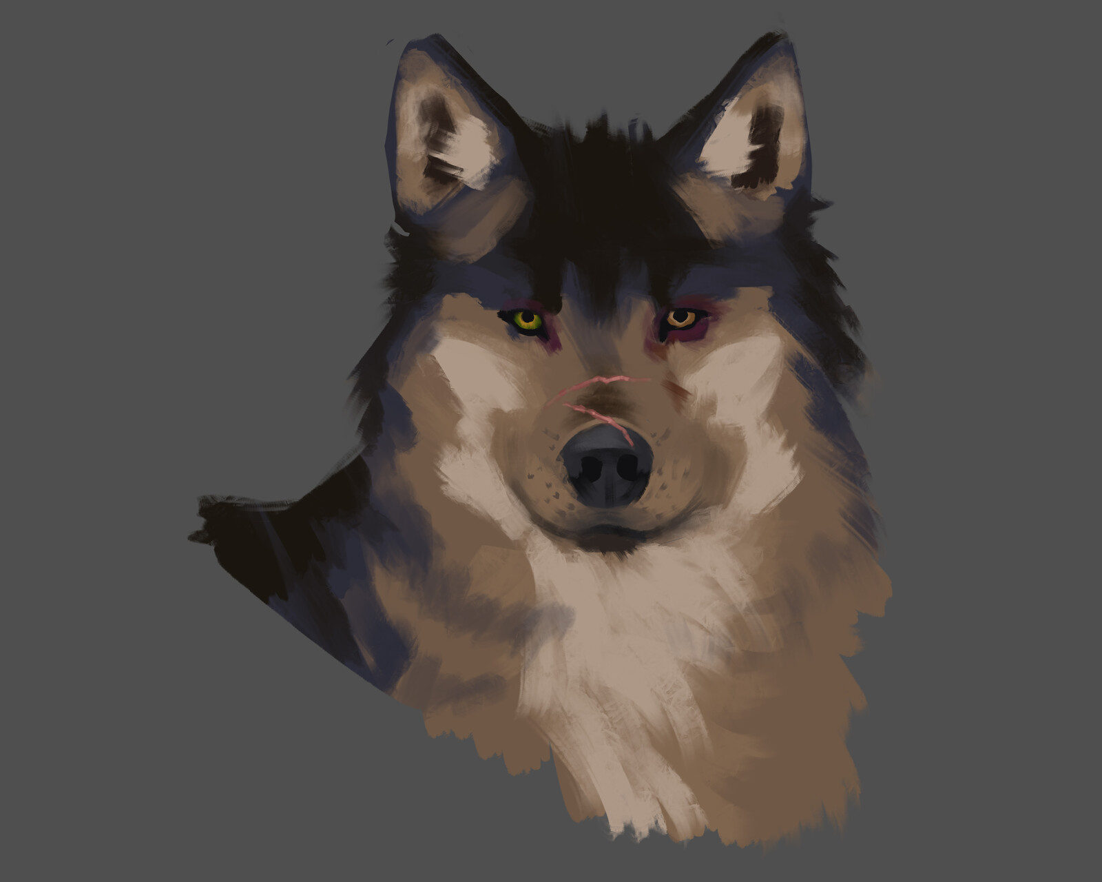 AxeliustheGreat - Scruff Summer Portrait 2022