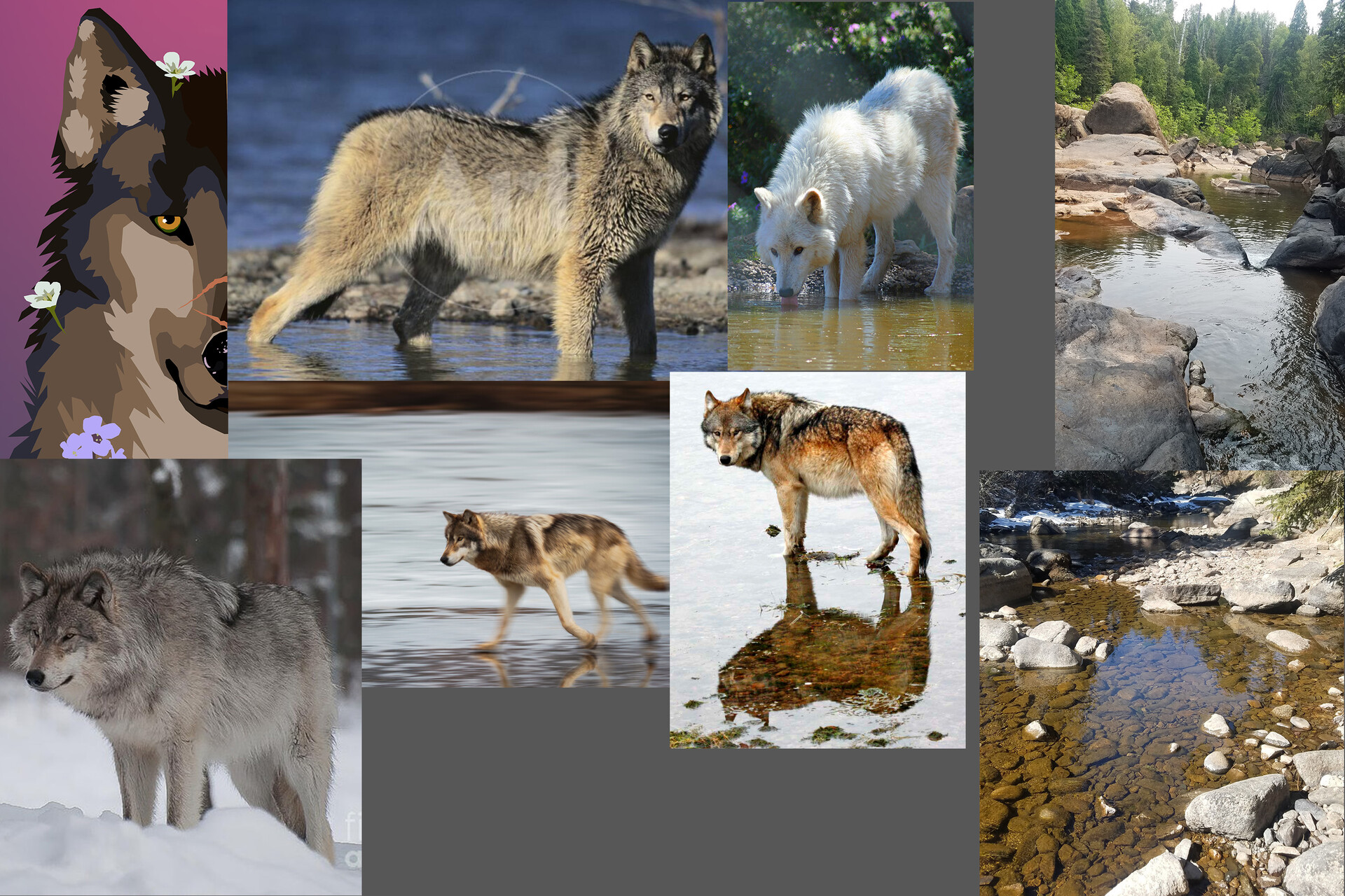 AxeliustheGreat - Scruff Summer Portrait 2022