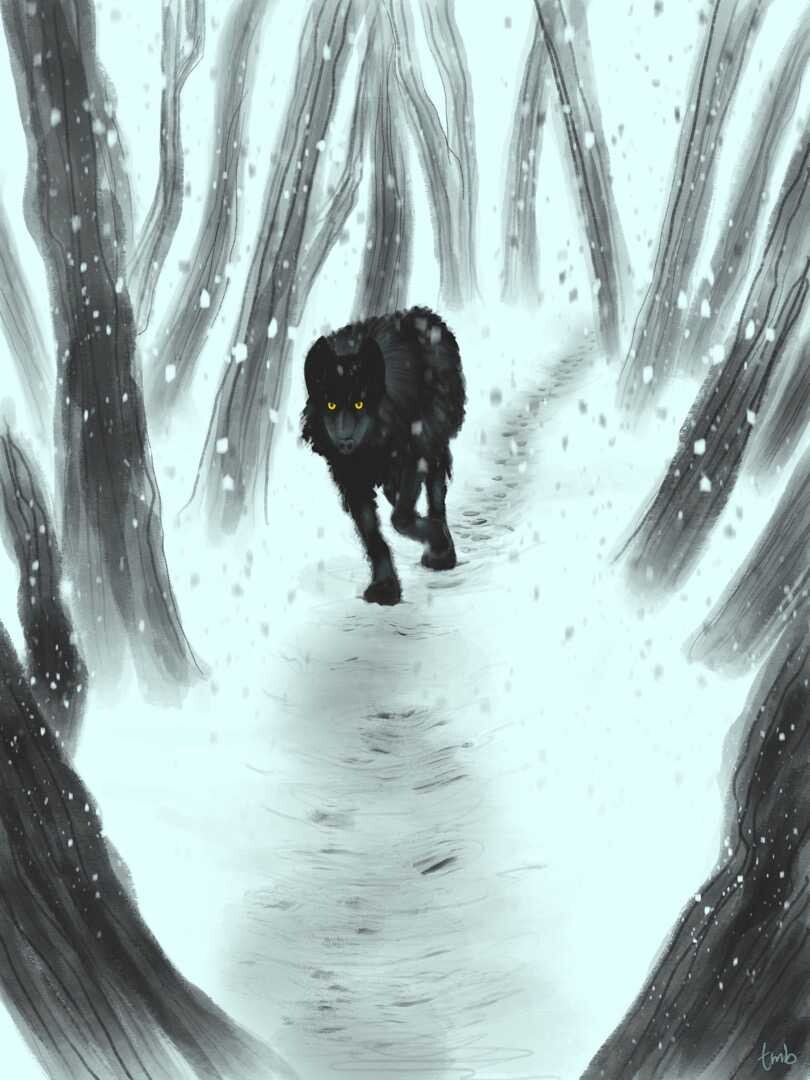 ArtStation - Snow wolf