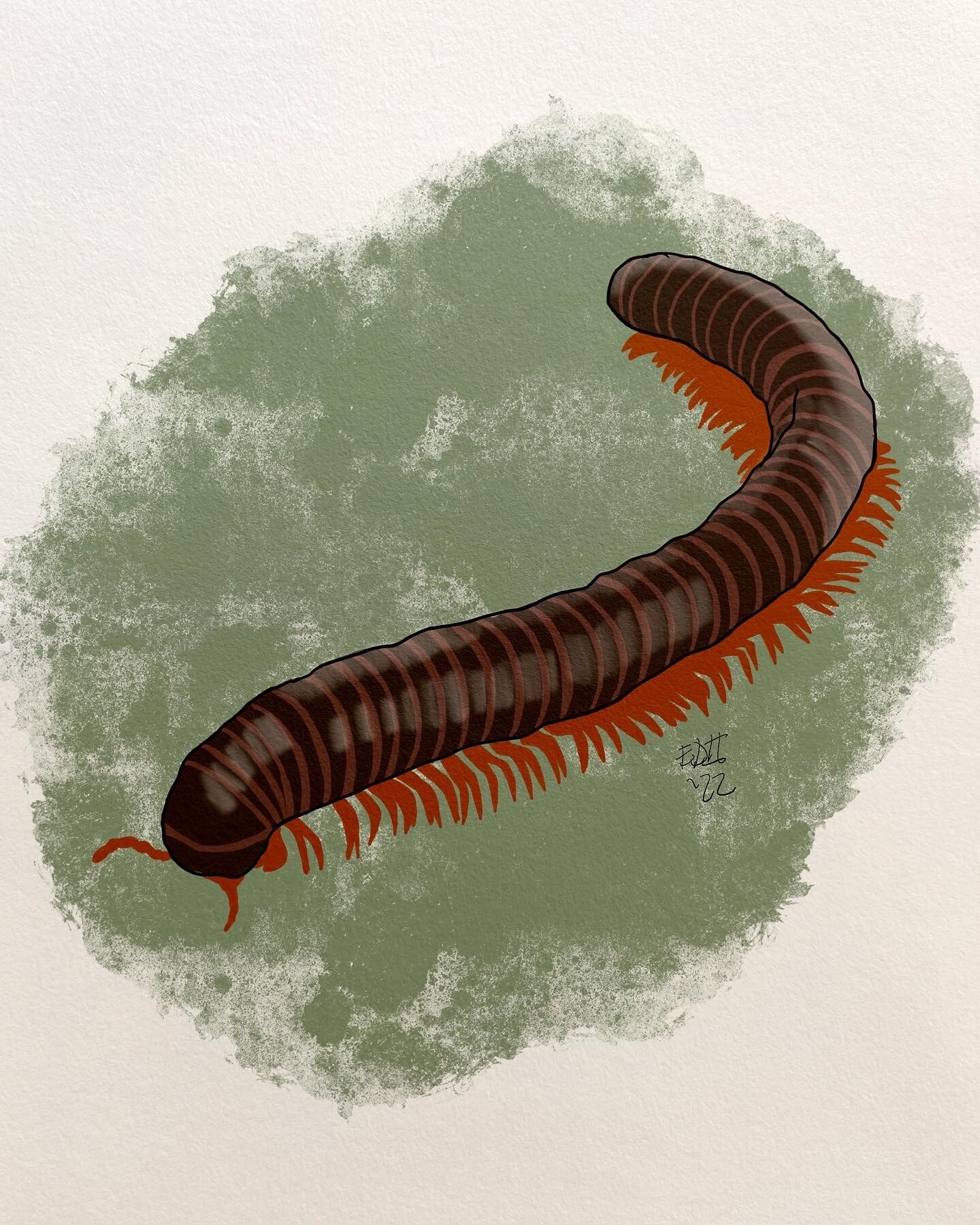 ArtStation - Junebug Day 16: Millipede