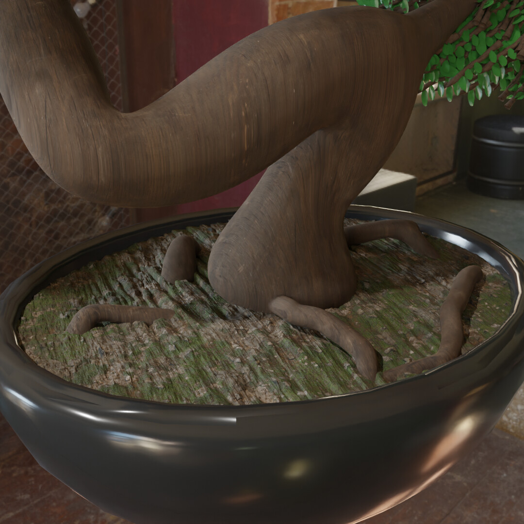 Zeus Venum - bonsai tree