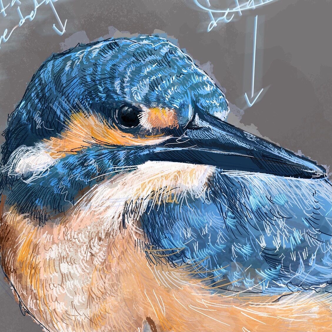 ArtStation - Common kingfisher