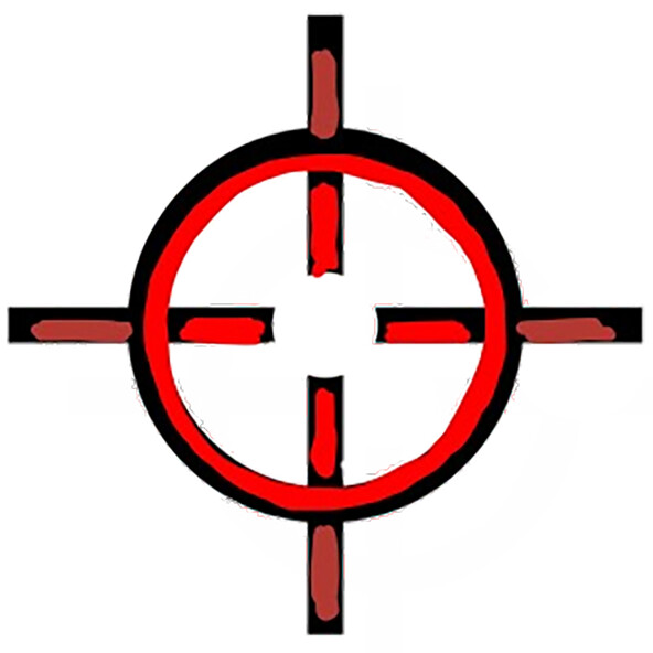 Red Target Icon