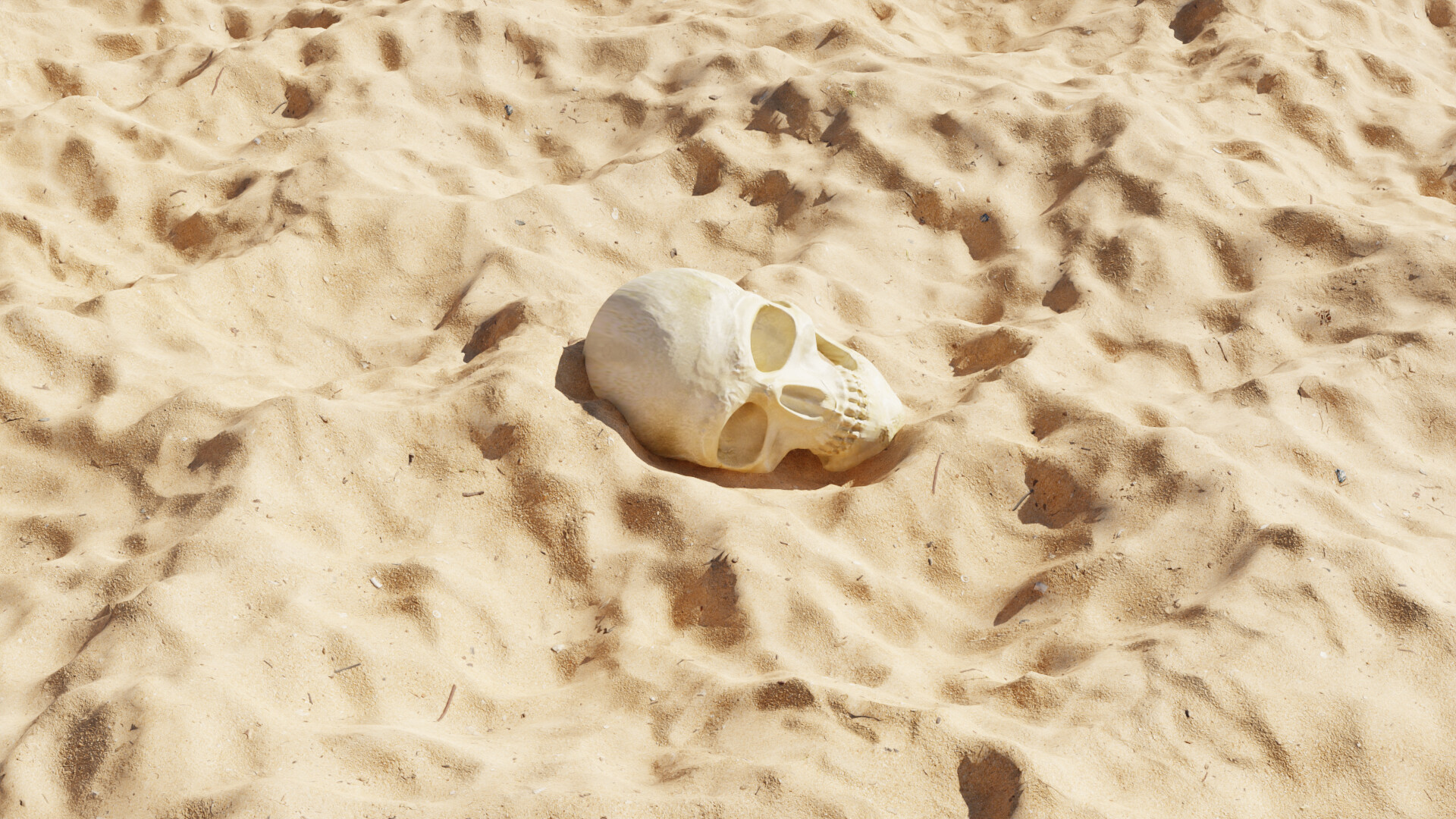 Max Shablevskyi - ZBrush Skull