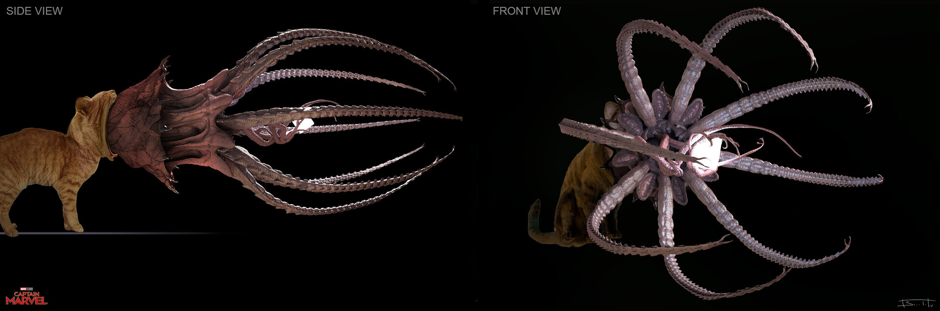 Tyler Scarlet - Captain Marvel, Flerken Design