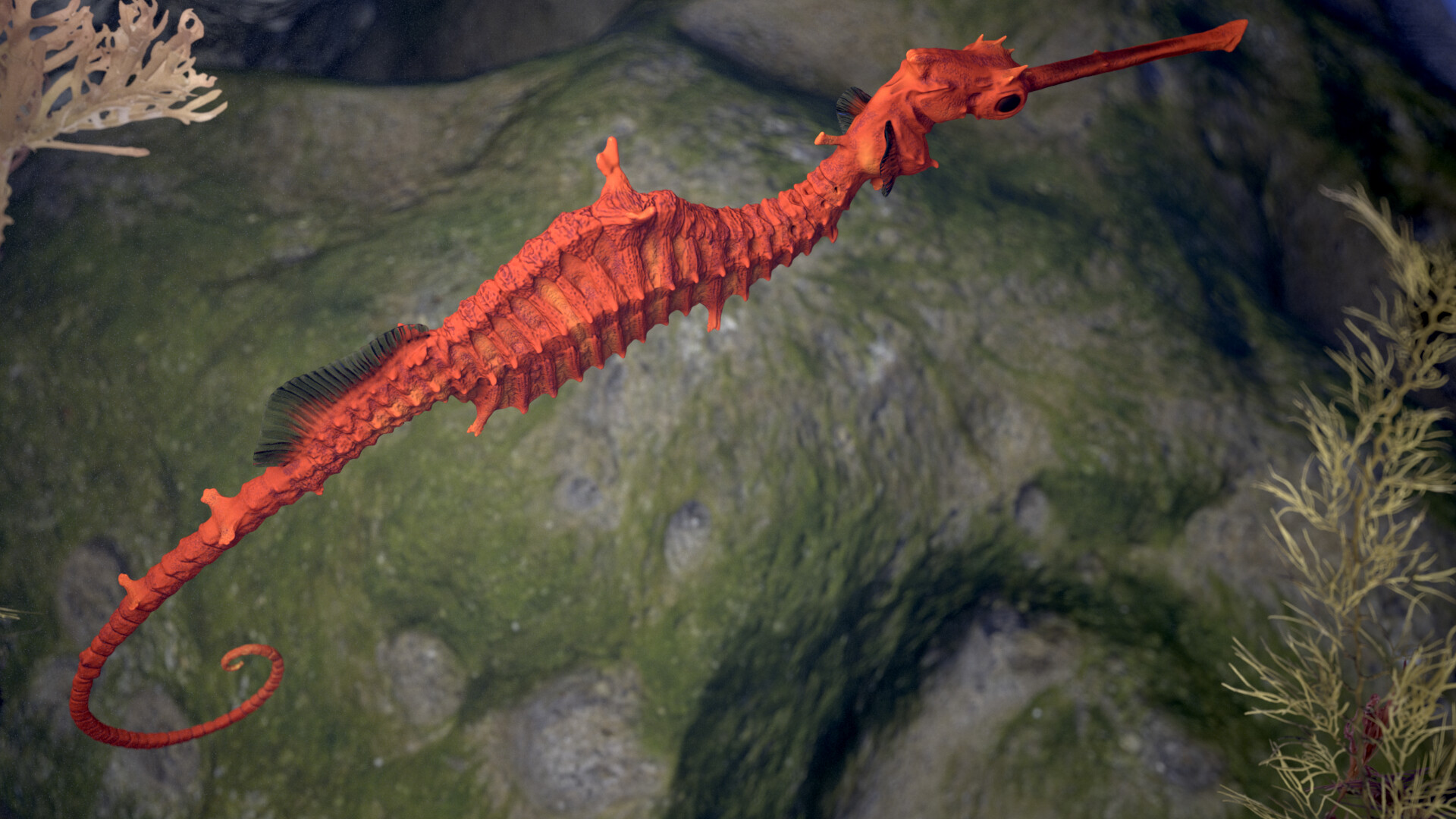 Eric Keller - Ruby Sea Dragon Model