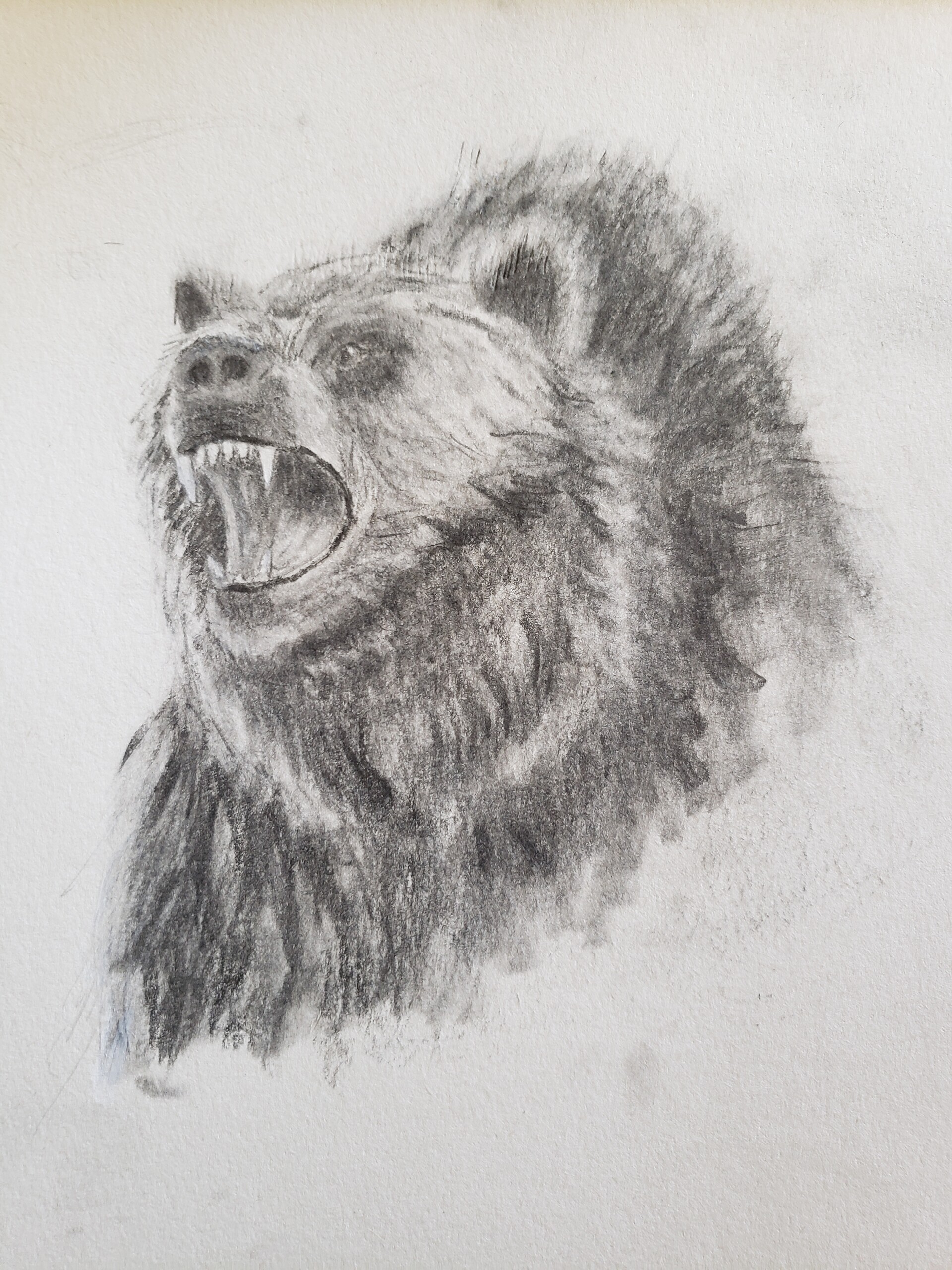 ArtStation - Graphite & Charcoal studies and practice Collection.