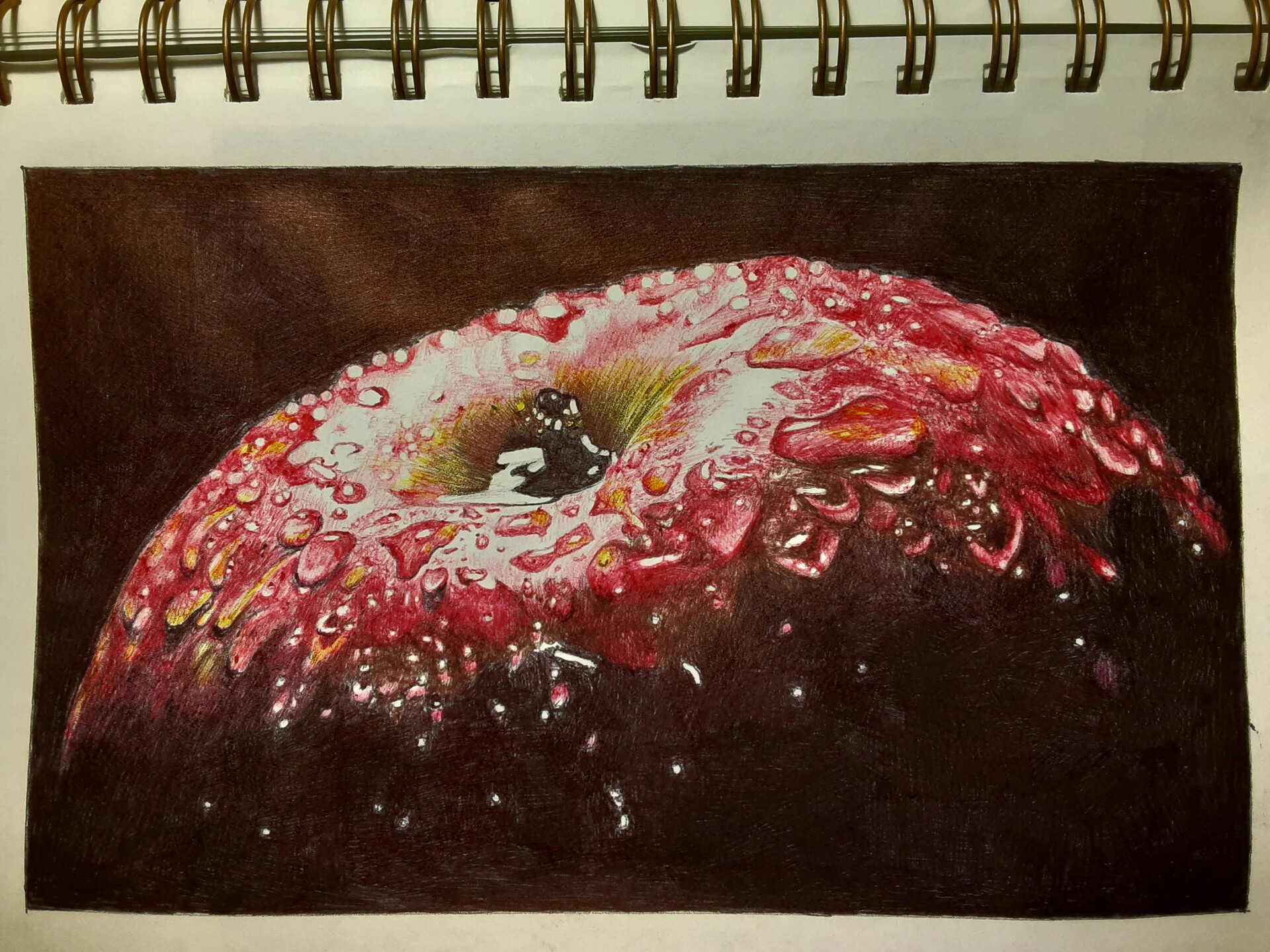 ArtStation - Ballpoint pen sketch of an apple