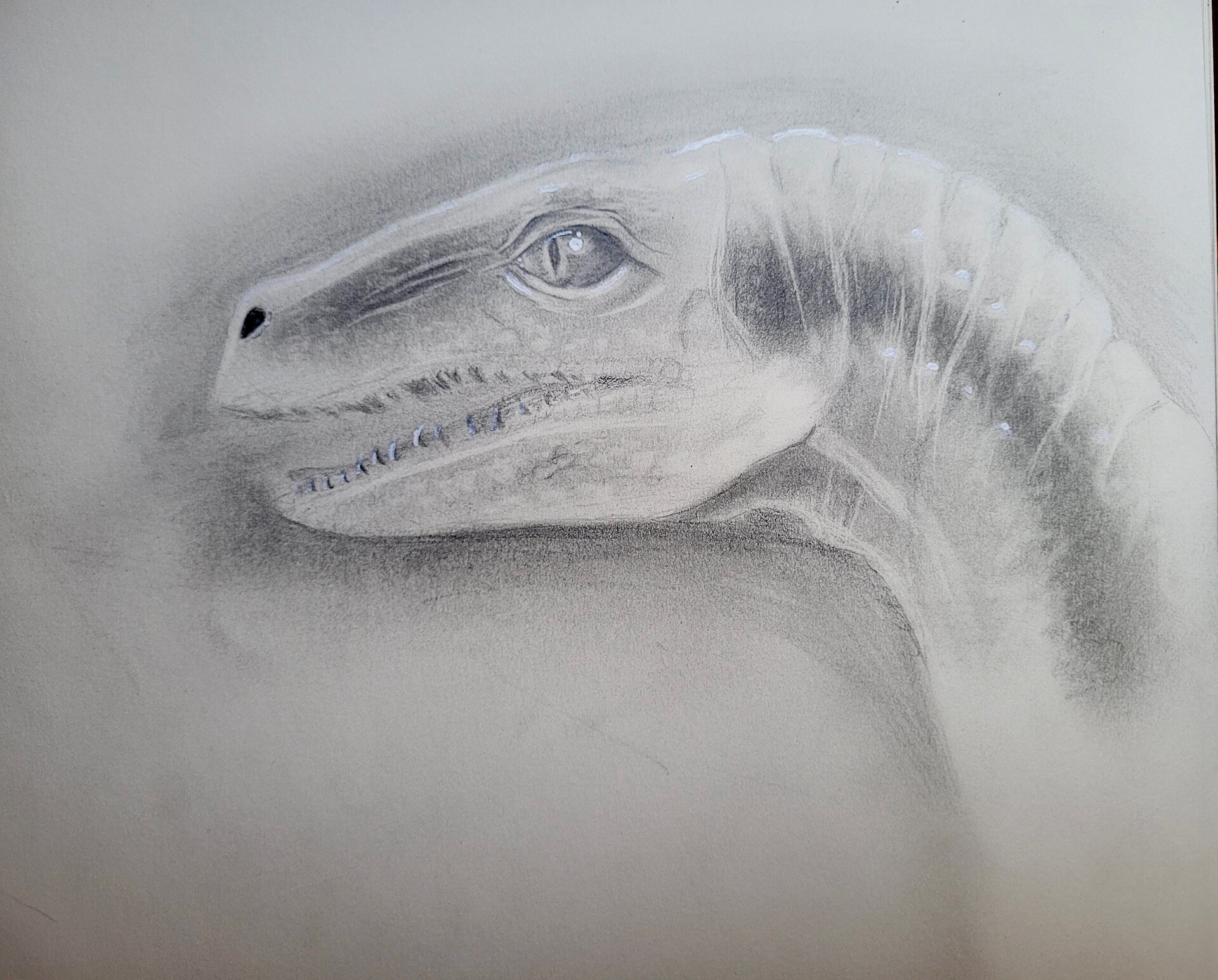 ArtStation - Velociraptor