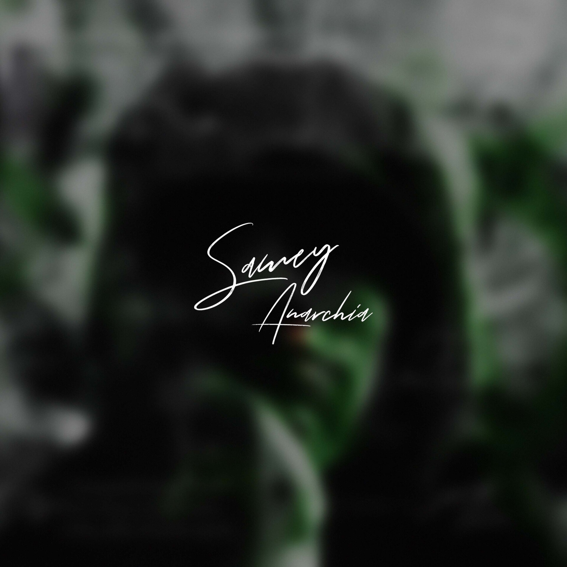 Jakub Polách - SAMEY ANARCHIA