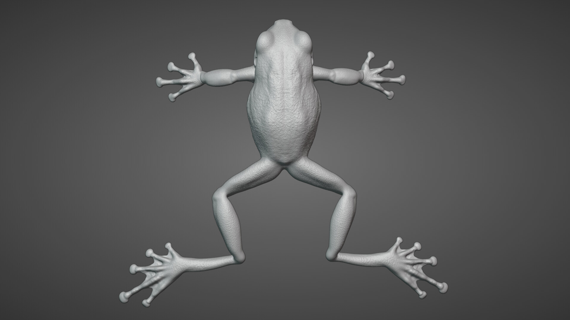 ArtStation - Zbrush frog