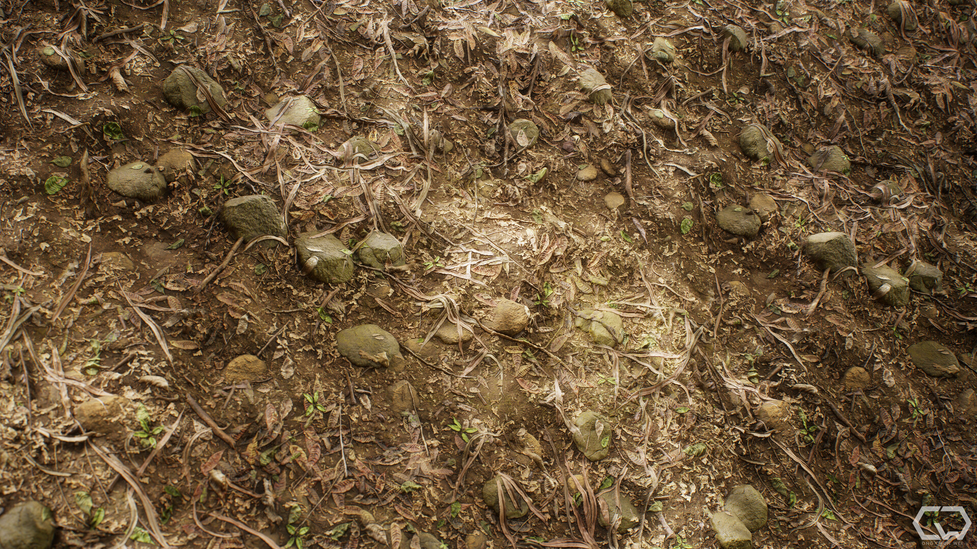 Chun Wei Ong - Tropical Forest Ground