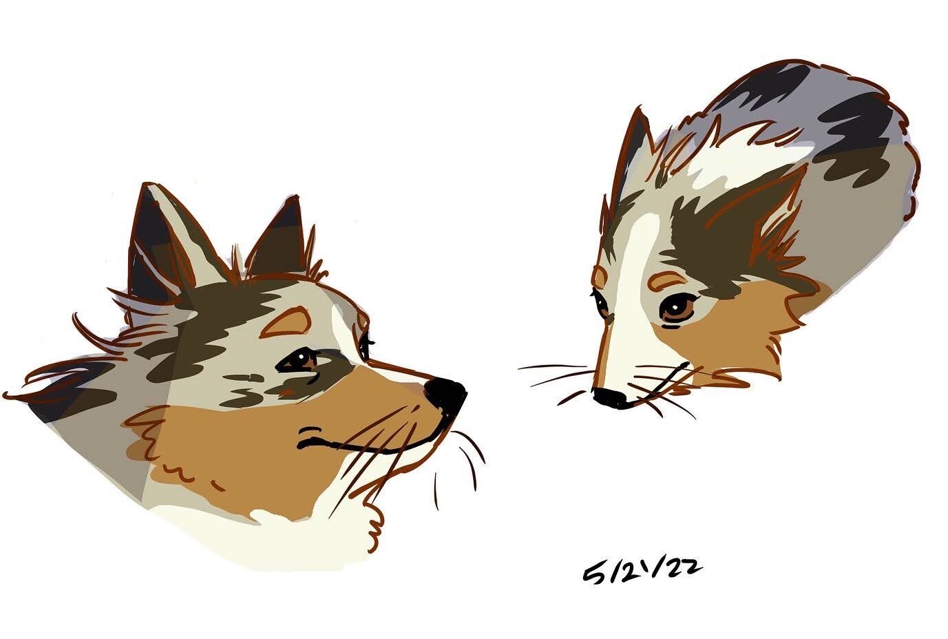 ArtStation - Life Drawing - Animals